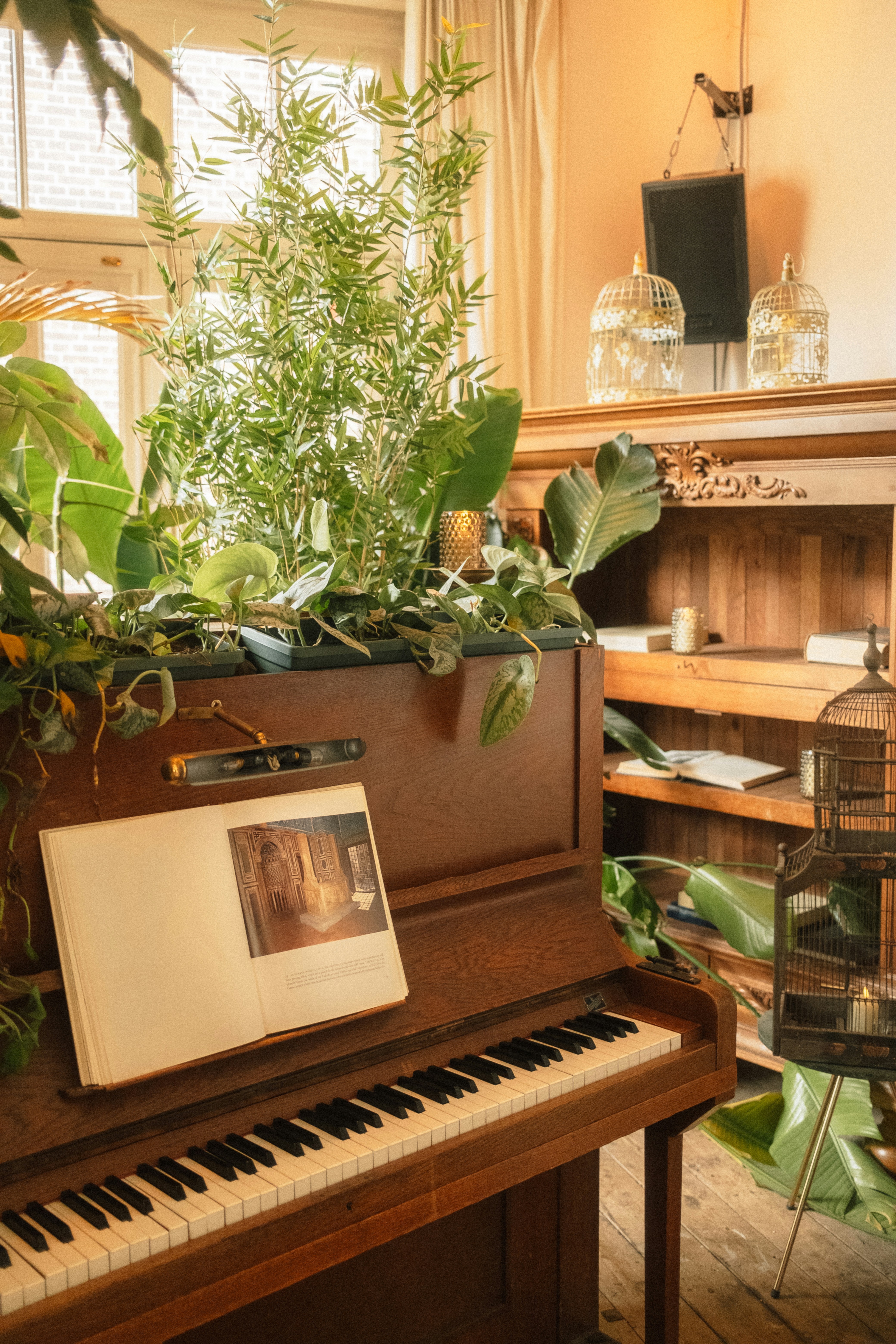 Verdant Garden Concert: A Piano Nestled Among Leaves and Light