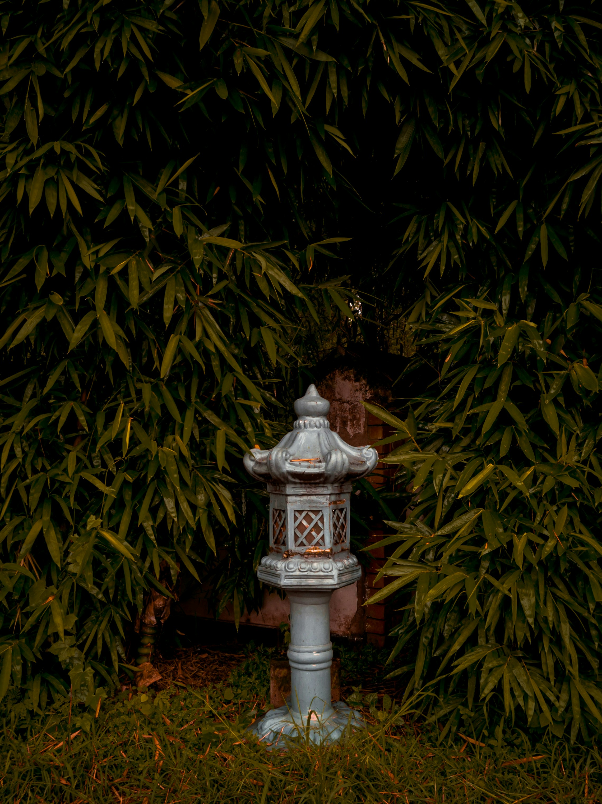 Midnight Lantern Hidden in Green Veil