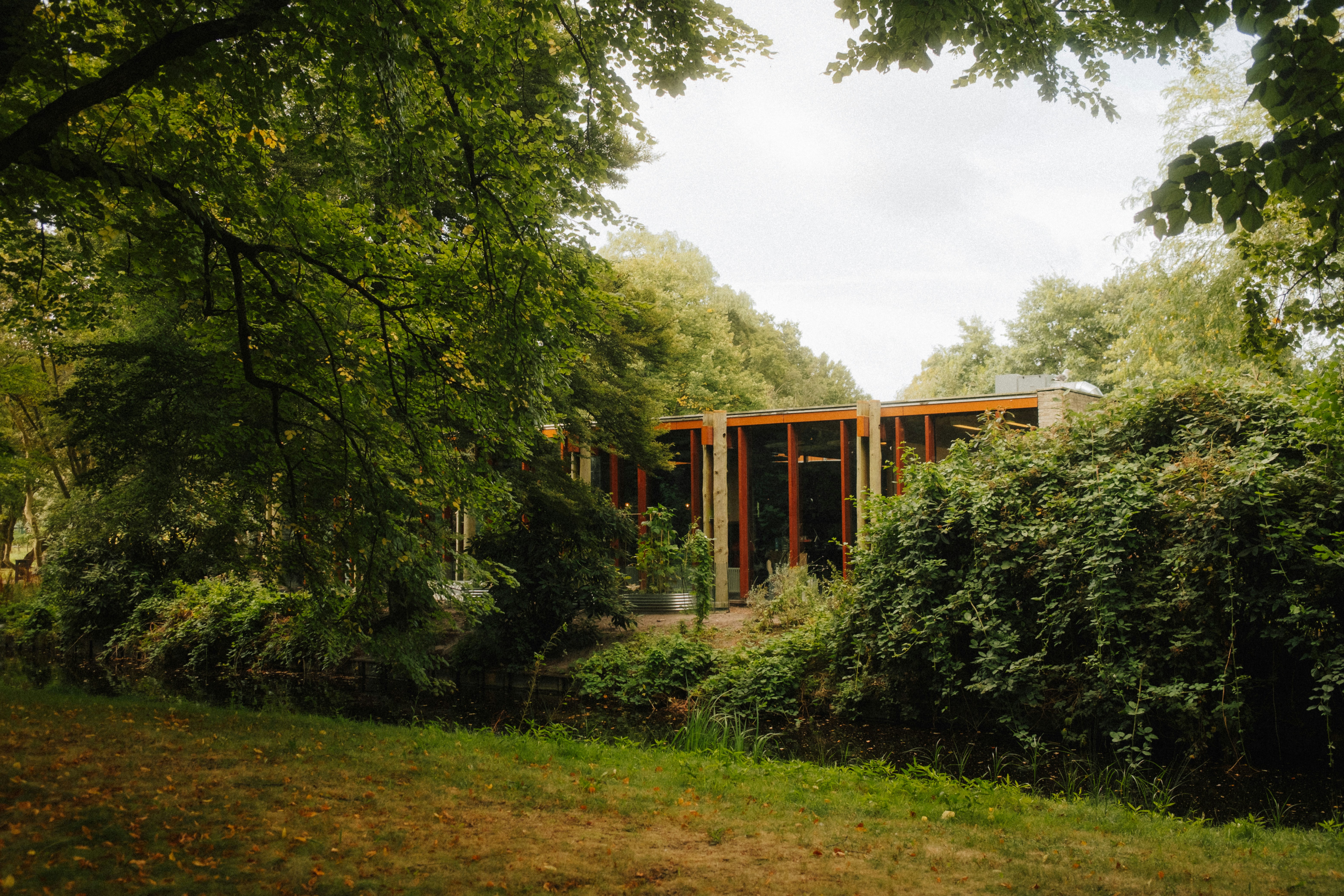 Mid-century House Framed by Greenery