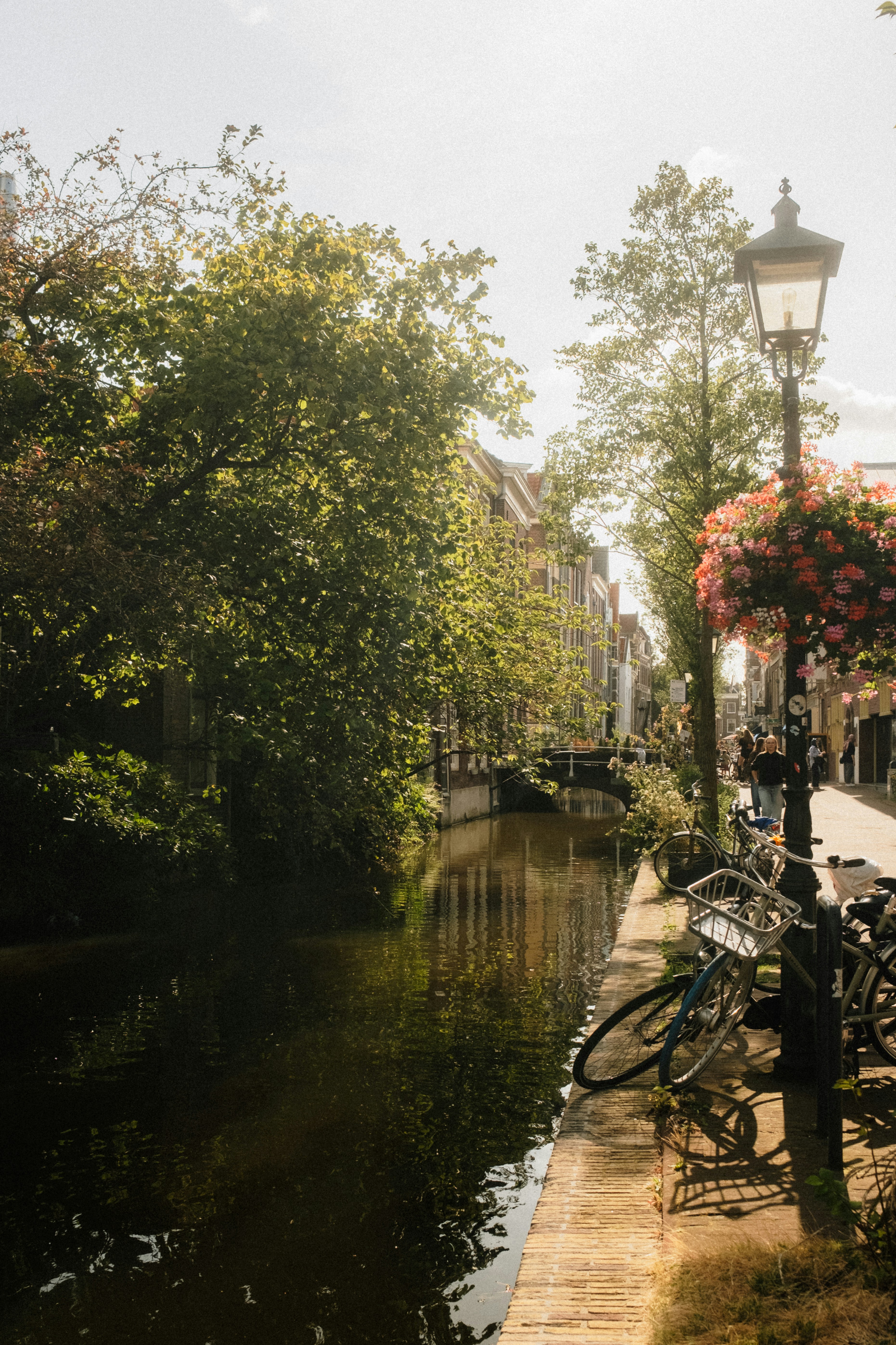 Sunlit Canal Street: Bikes, Blooming Lamp, and Quiet Reflection