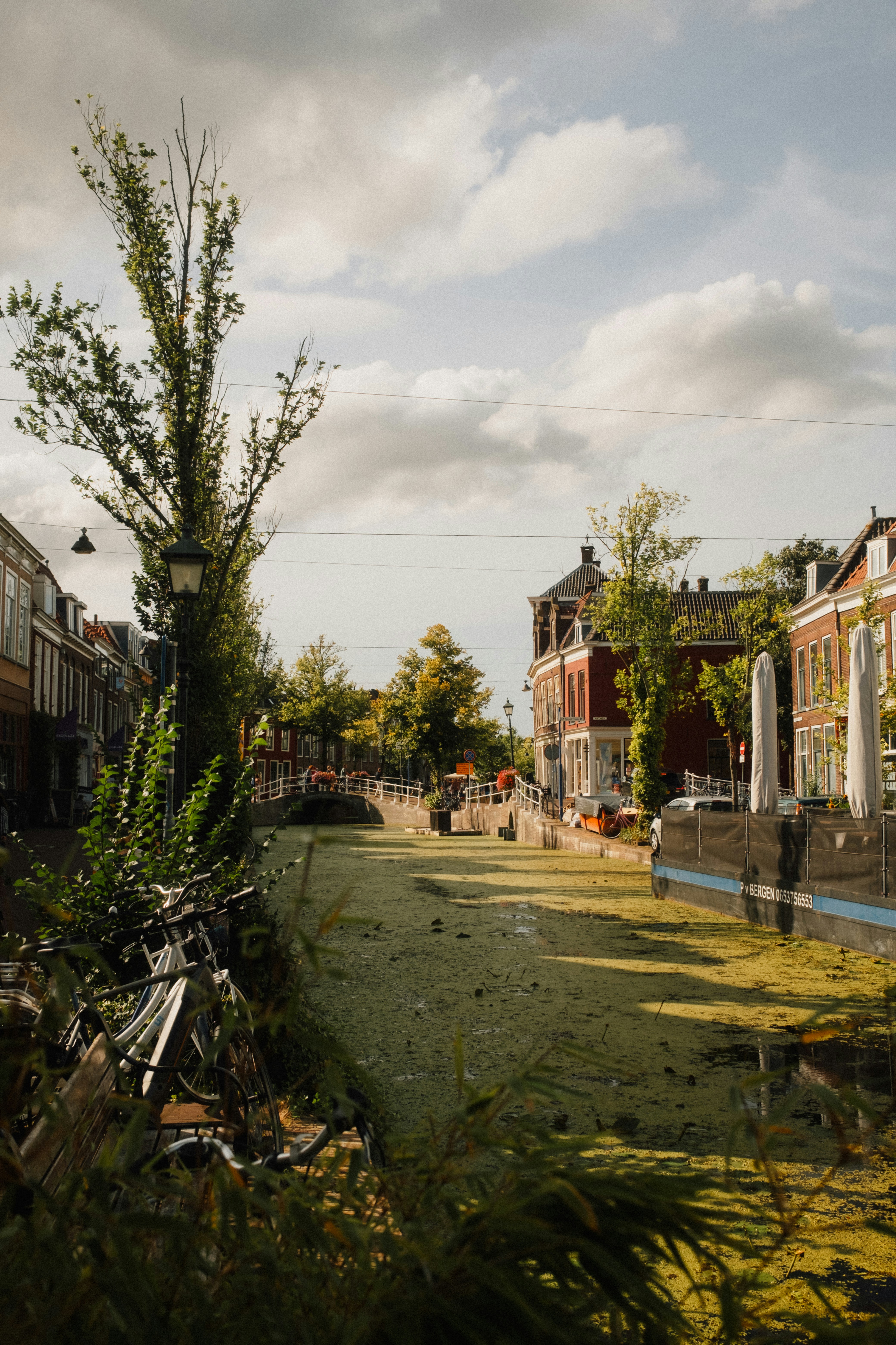 Canal Boulevard: A Sunlit Dutch Street Rendezvous