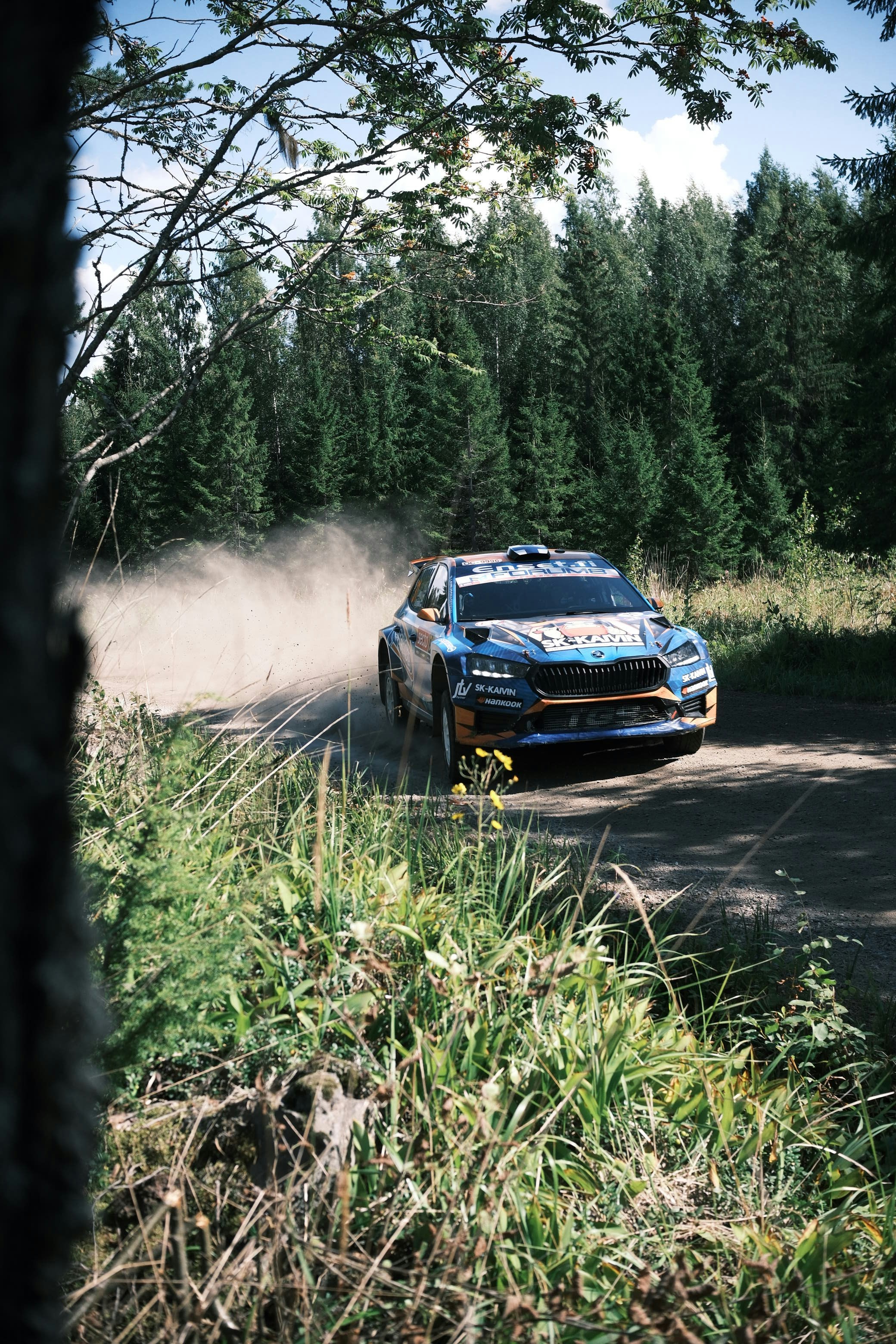 Blue rally car kicks up dust as it rounds a dirt corner past tall pines; the frame captures motion and rugged scenery.