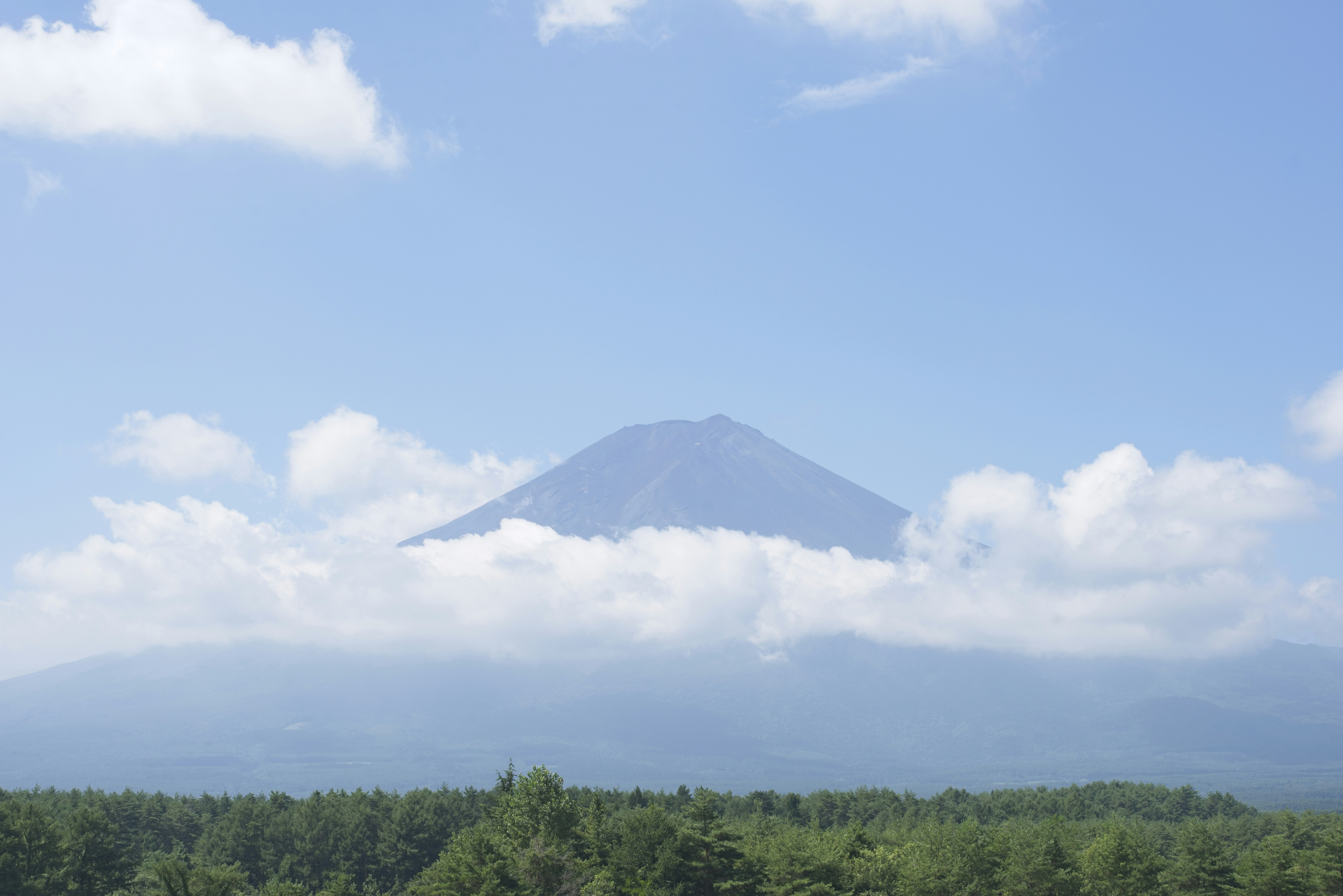 Summit in the Sky: Mountain Peak above the Mist