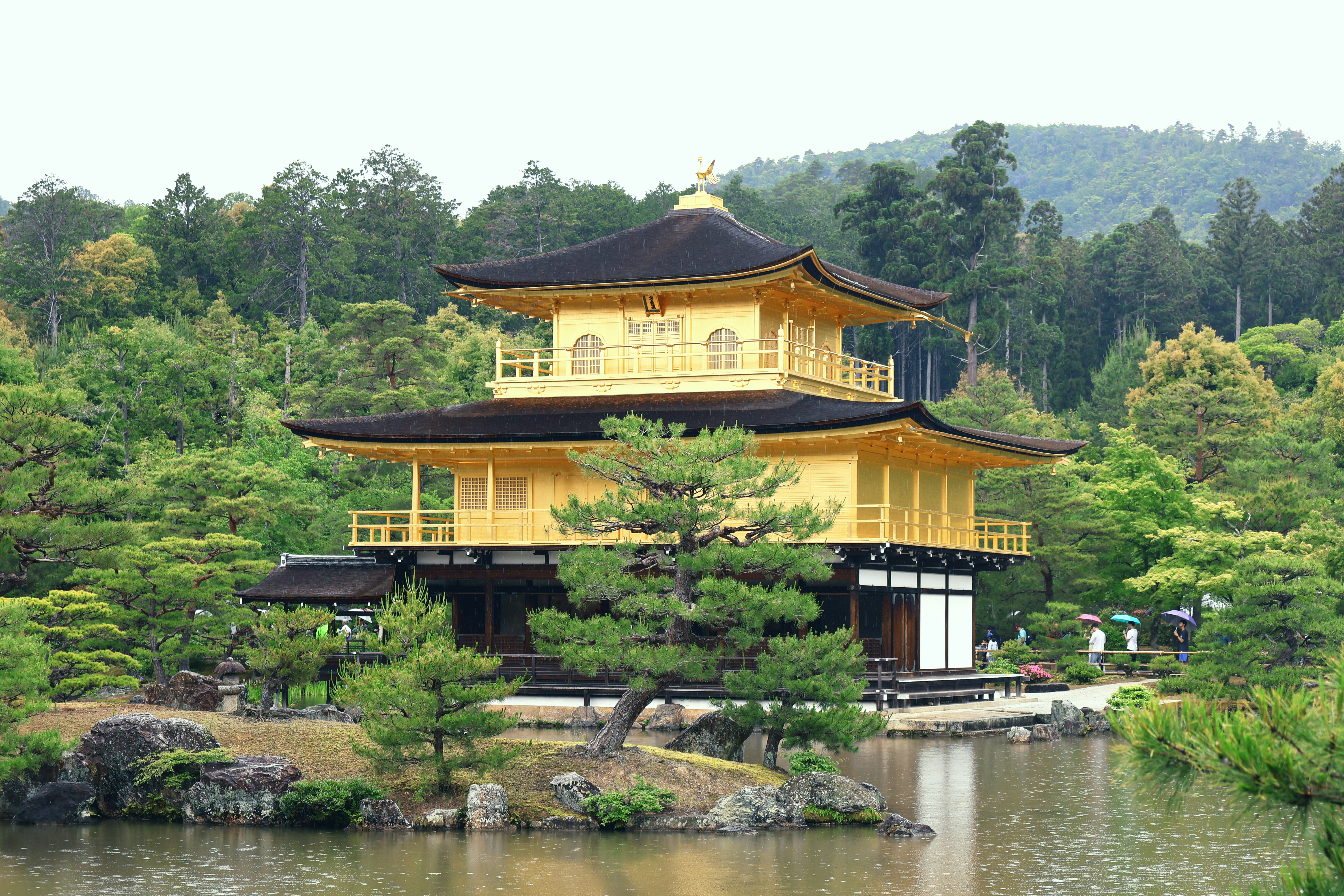 Golden Pavilion Reflections: Kinkaku-ji Rising Over Calm Gardens