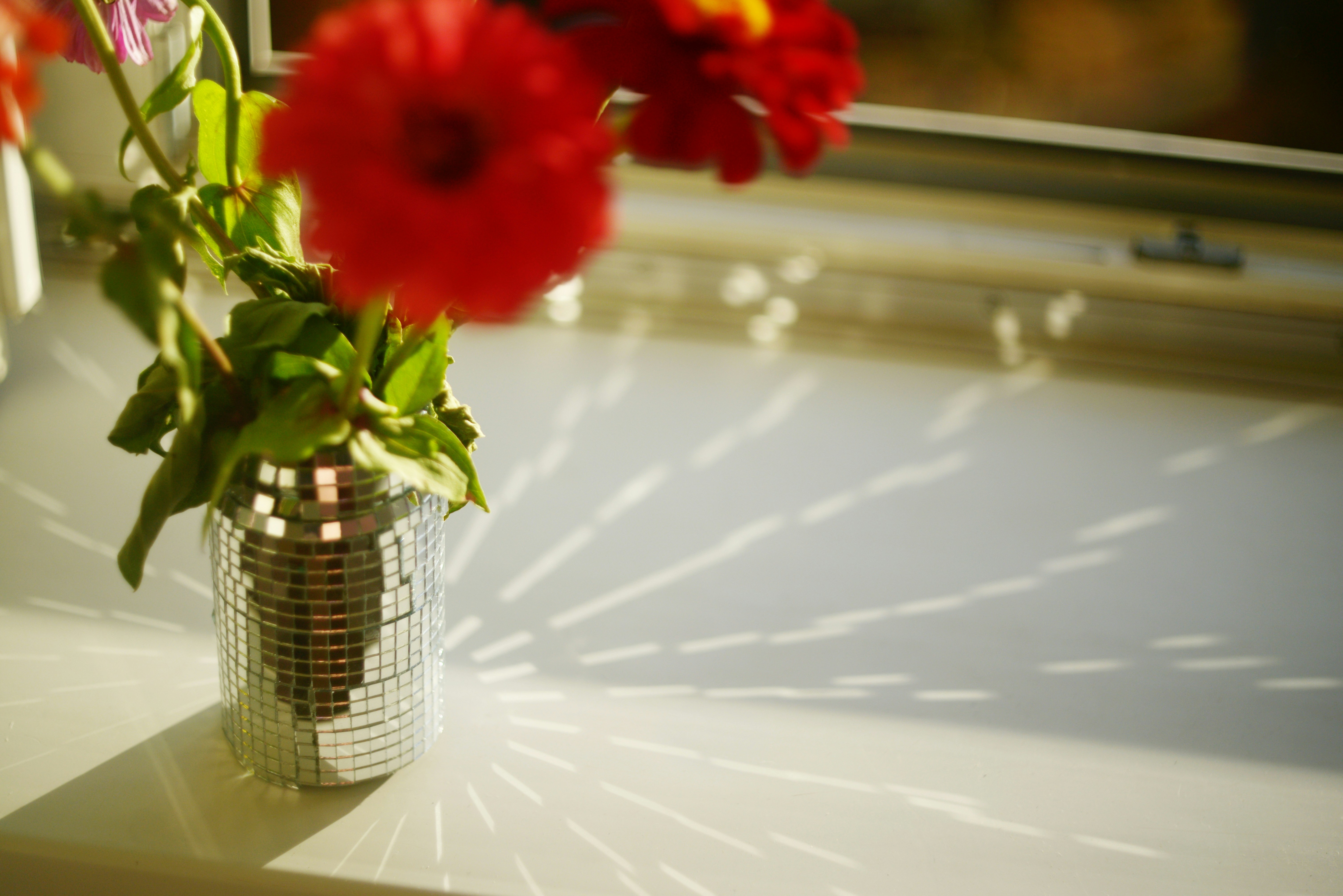 Sunlit glass vase with red flowers sits on a windowsill, casting starburst shadows across the surface. A softly blurred background emphasizes a warm, intimate still-life composition.