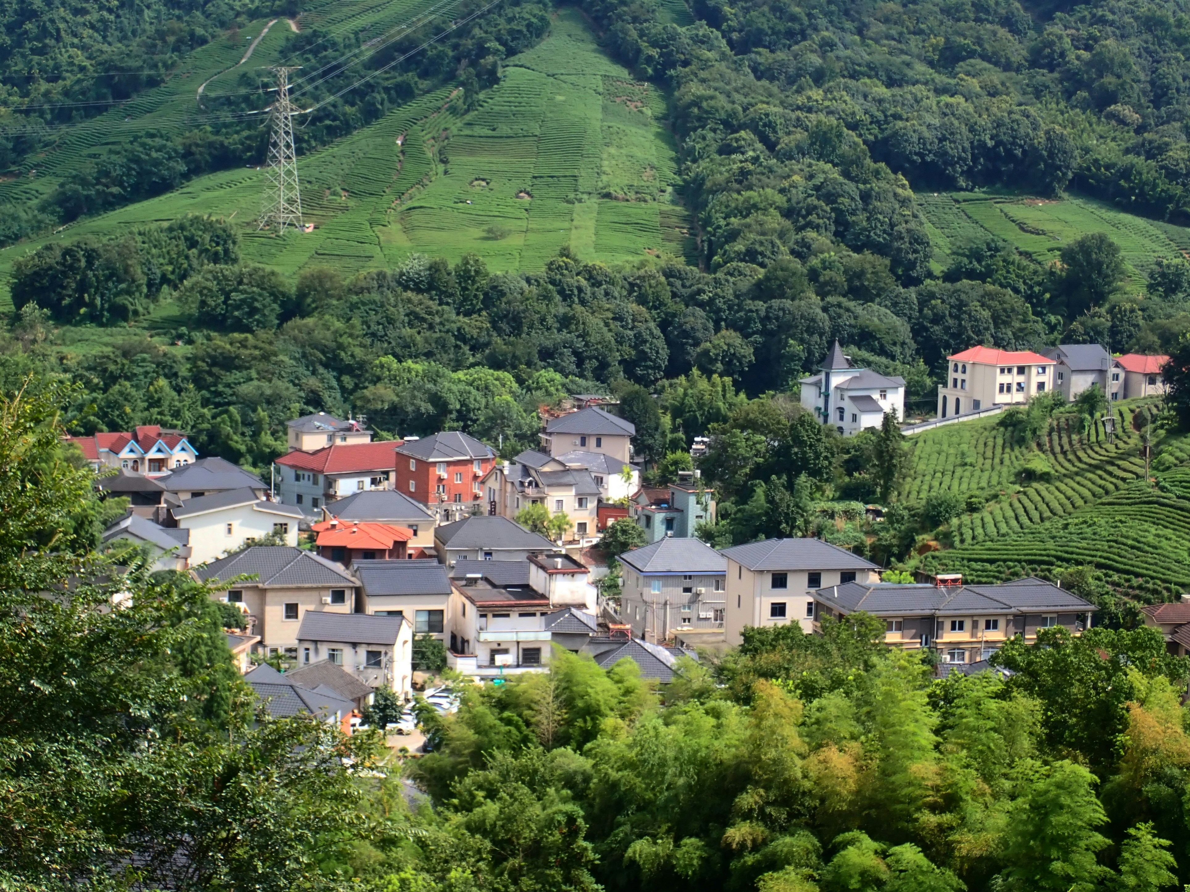 Terraced Village Nested in Green Hills