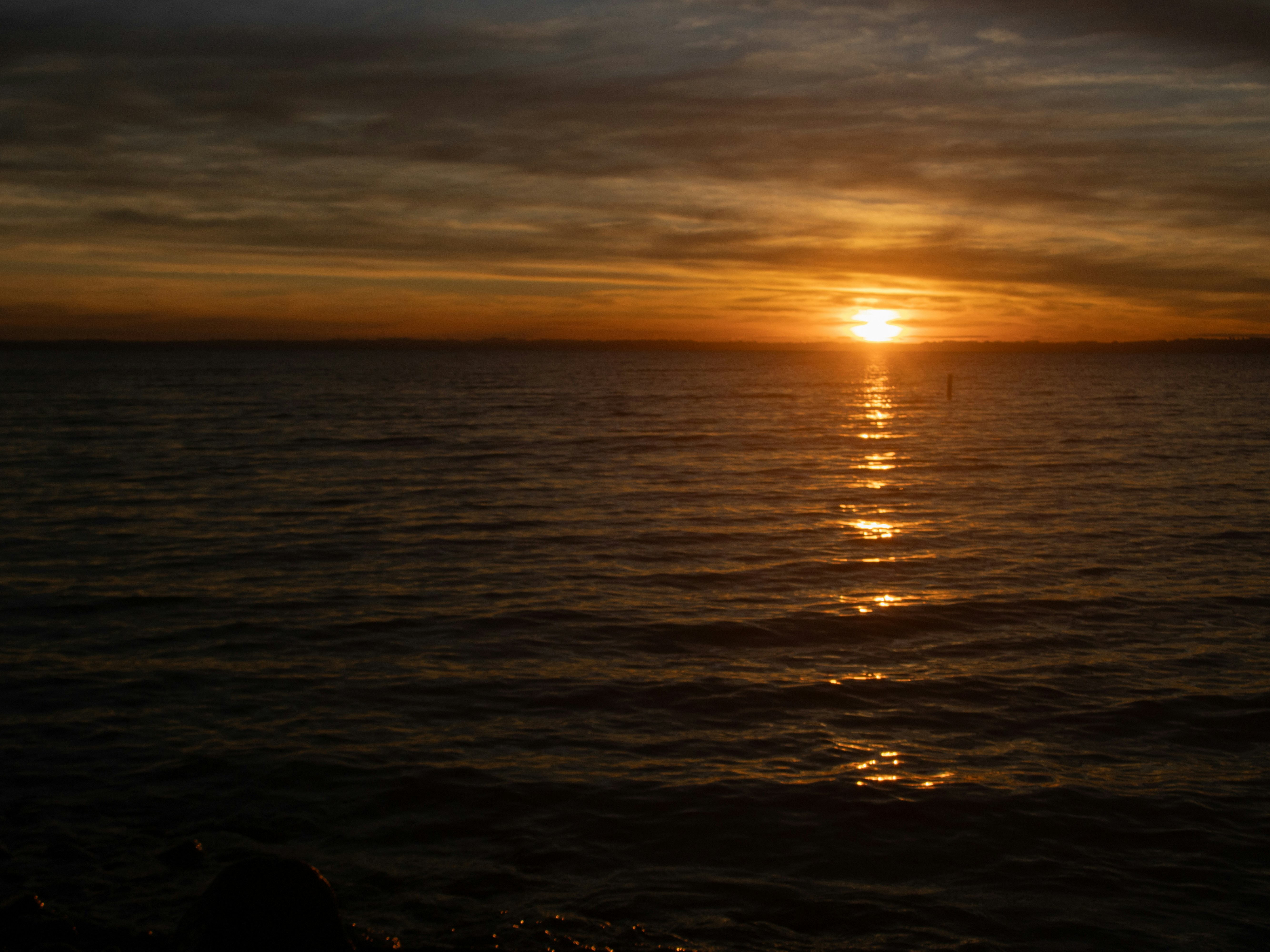 Photo by Noel Oviedo with Canon EOS 2000D