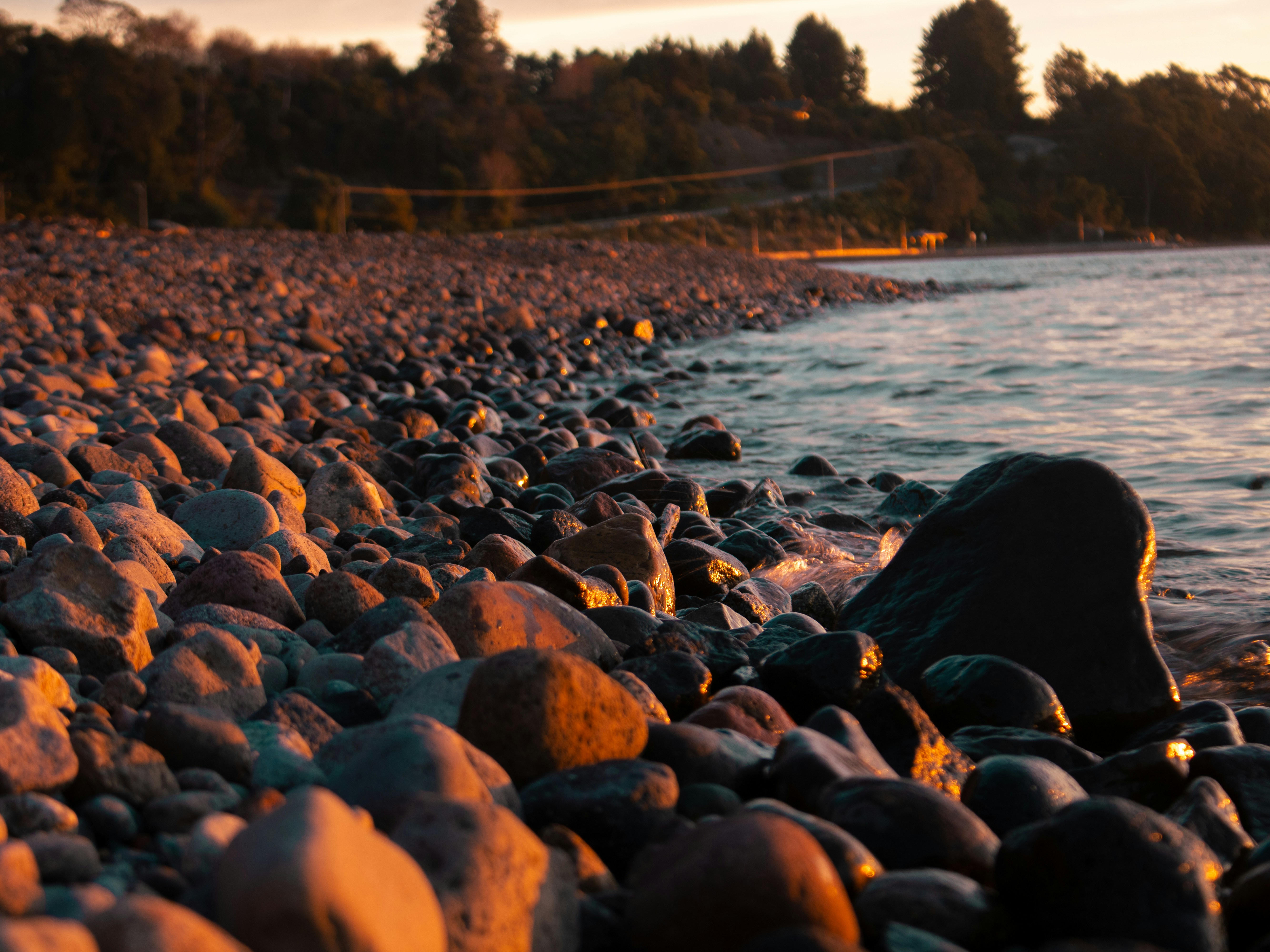 Evening respite: sunlit pebbles along the lakeshore