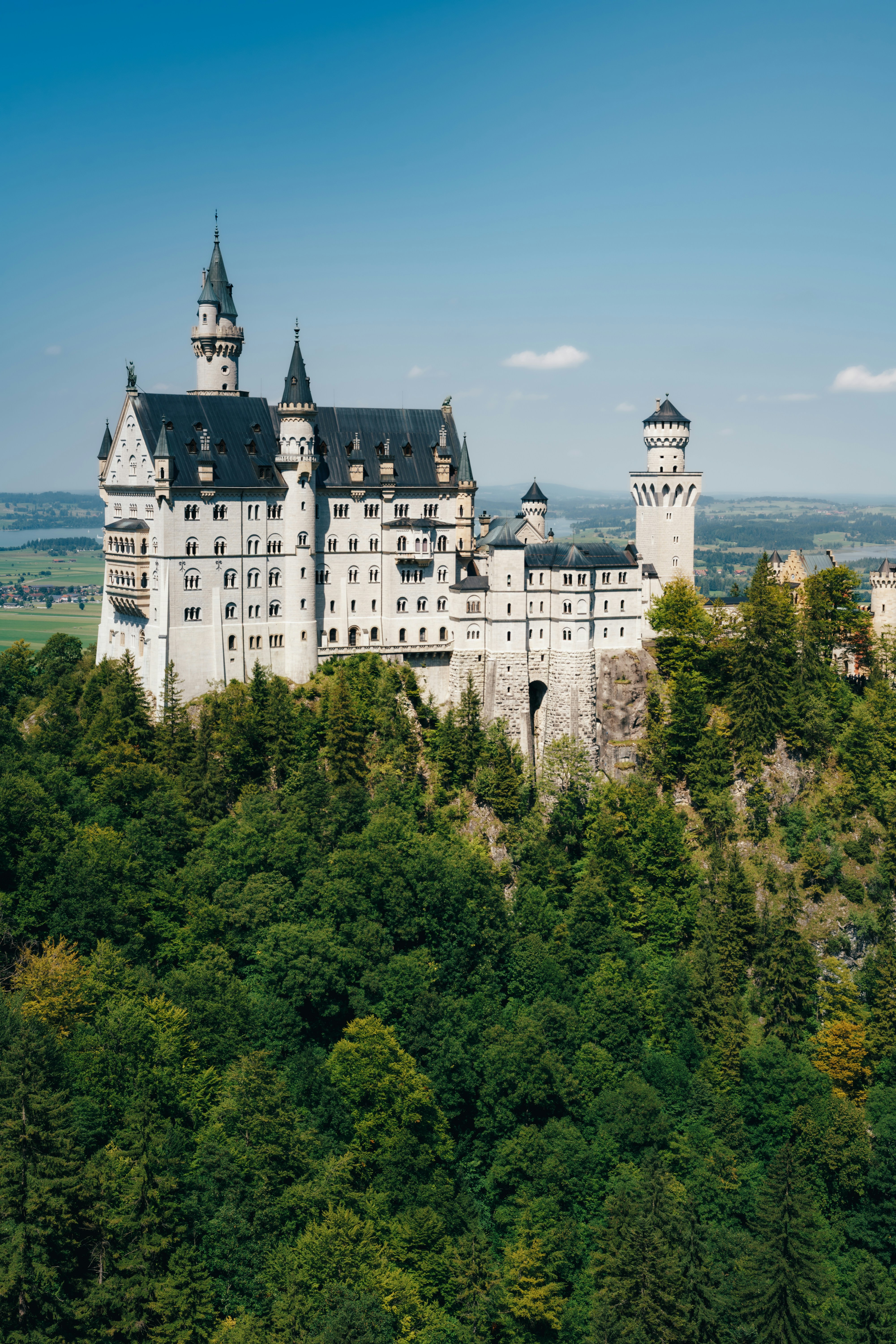 Castle in the Heights: A Highland Fortress Rising Above the Forest