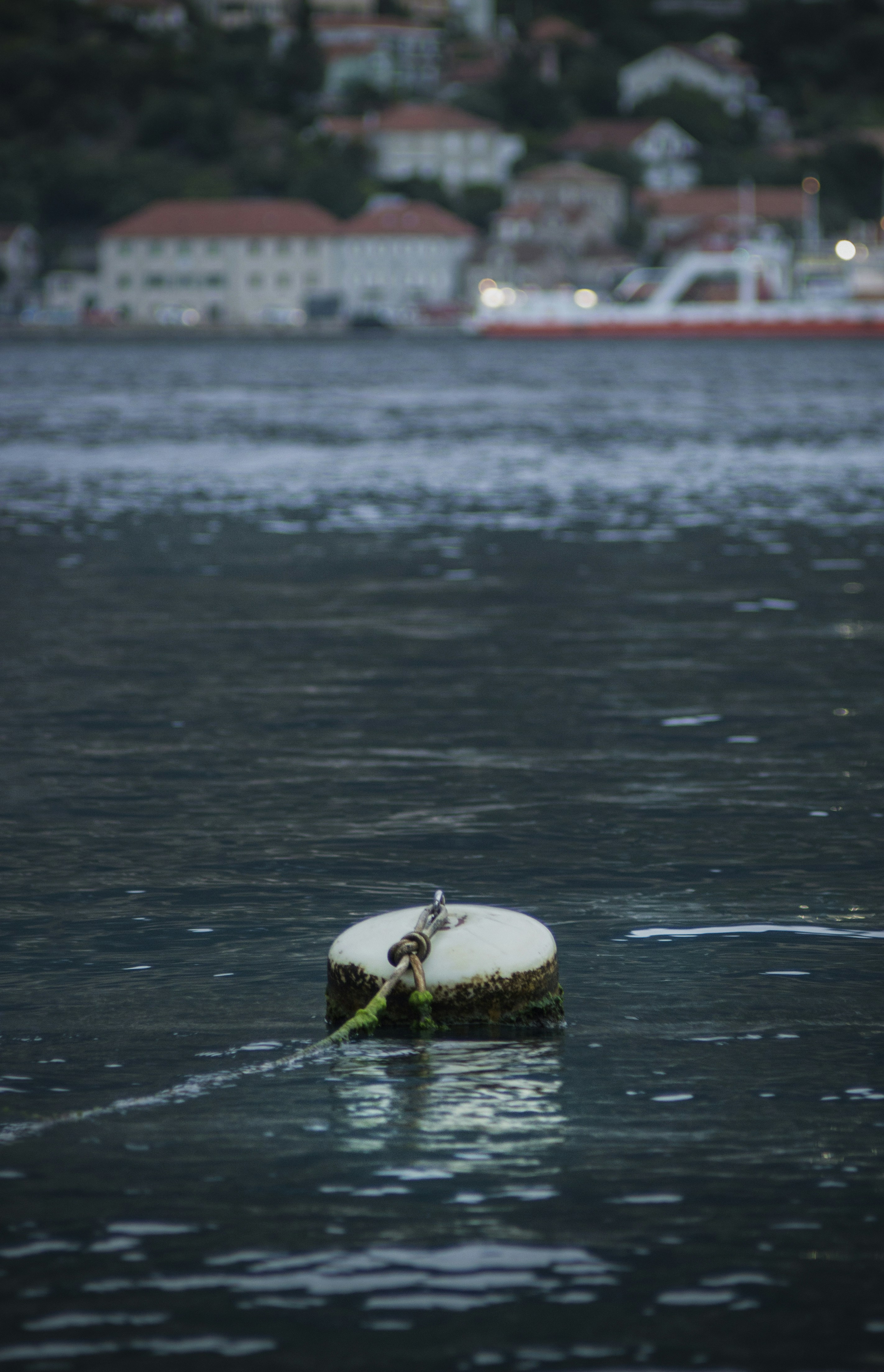 Buoyant Beacon: A lone mooring buoy anchors a quiet waterfront