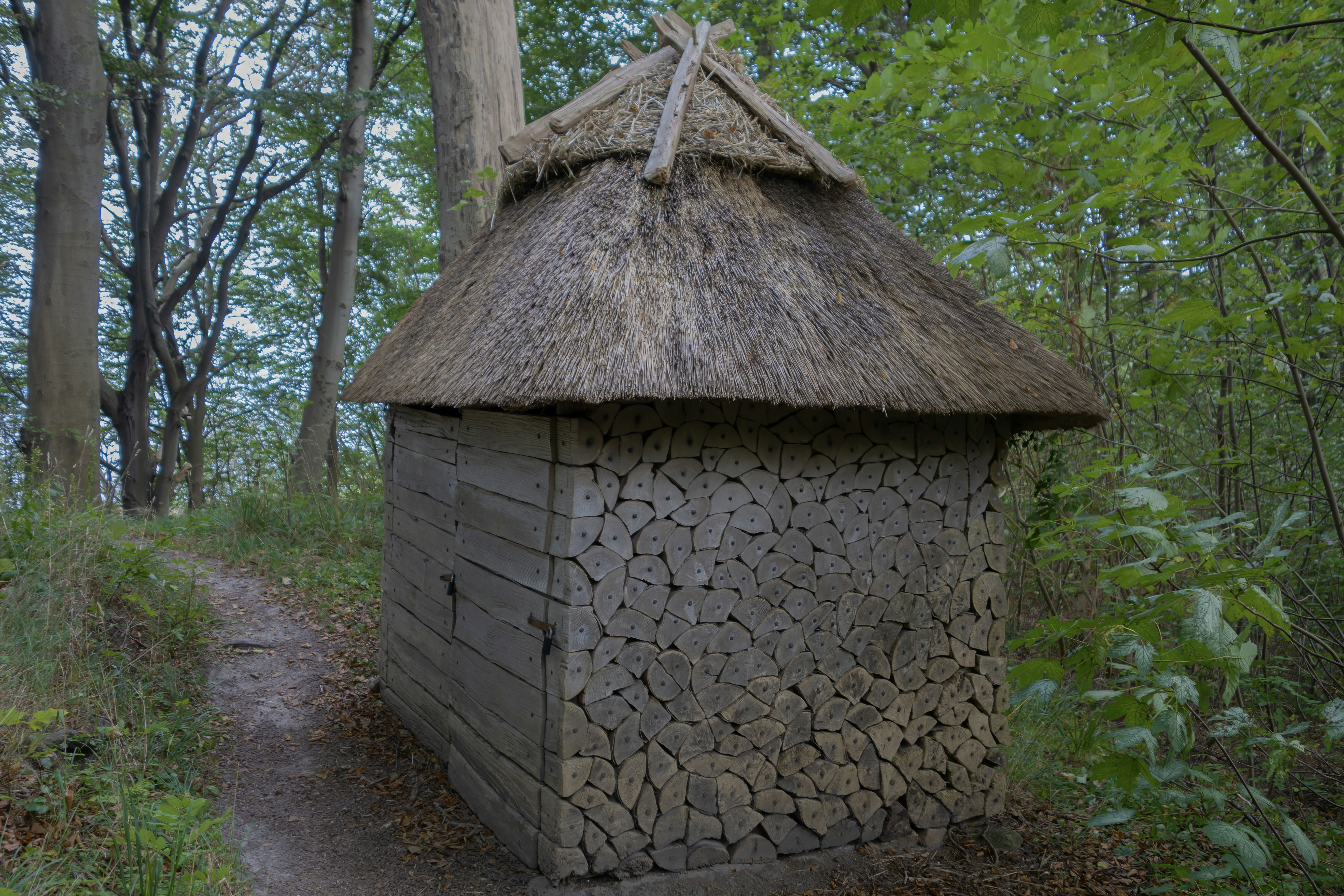 Stacked Firewood Hut in a Quiet Forest Clearing