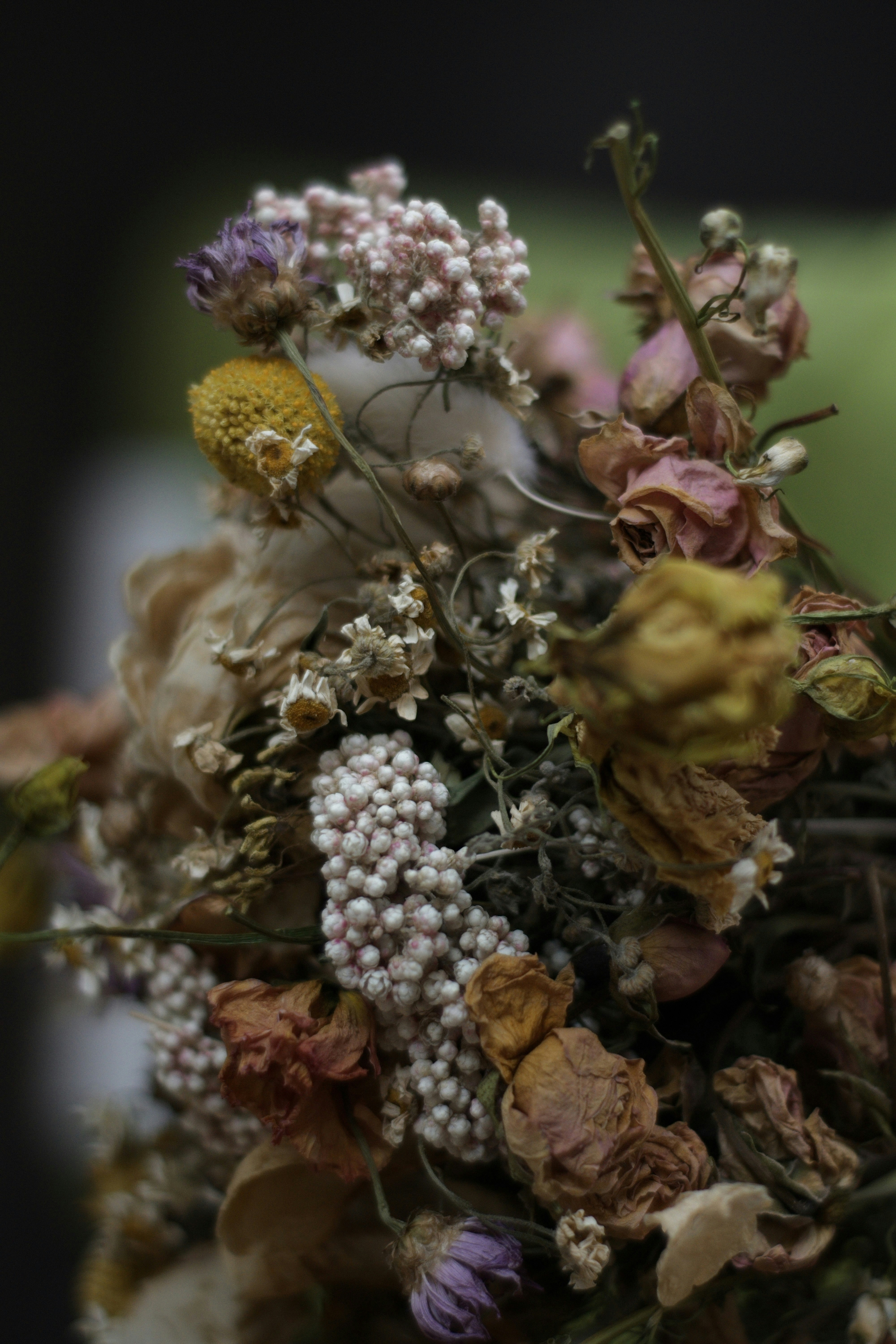 Withering Bouquet: a quiet study of dried petals and texture