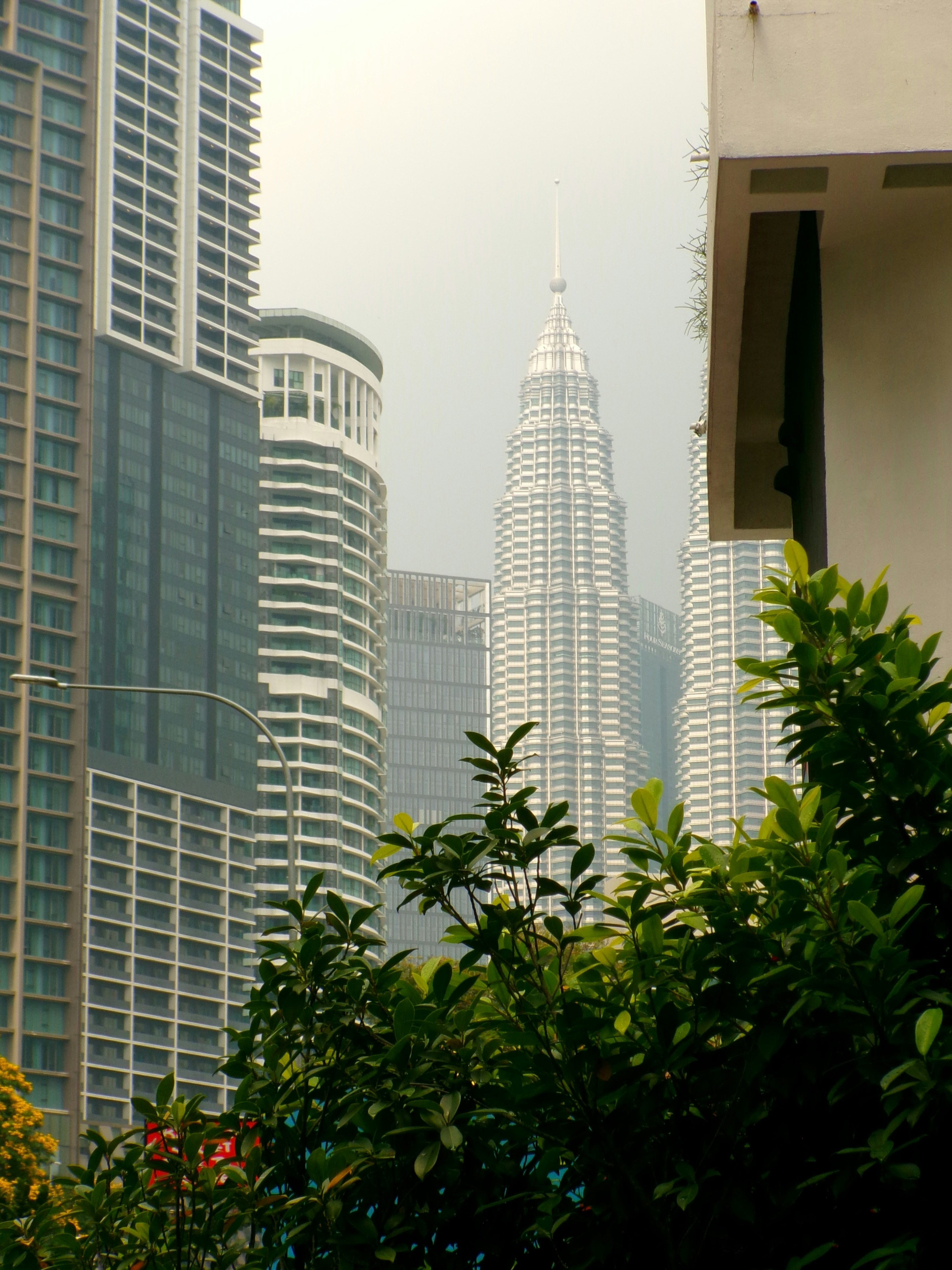 Urban Skyline with Framing Foliage
