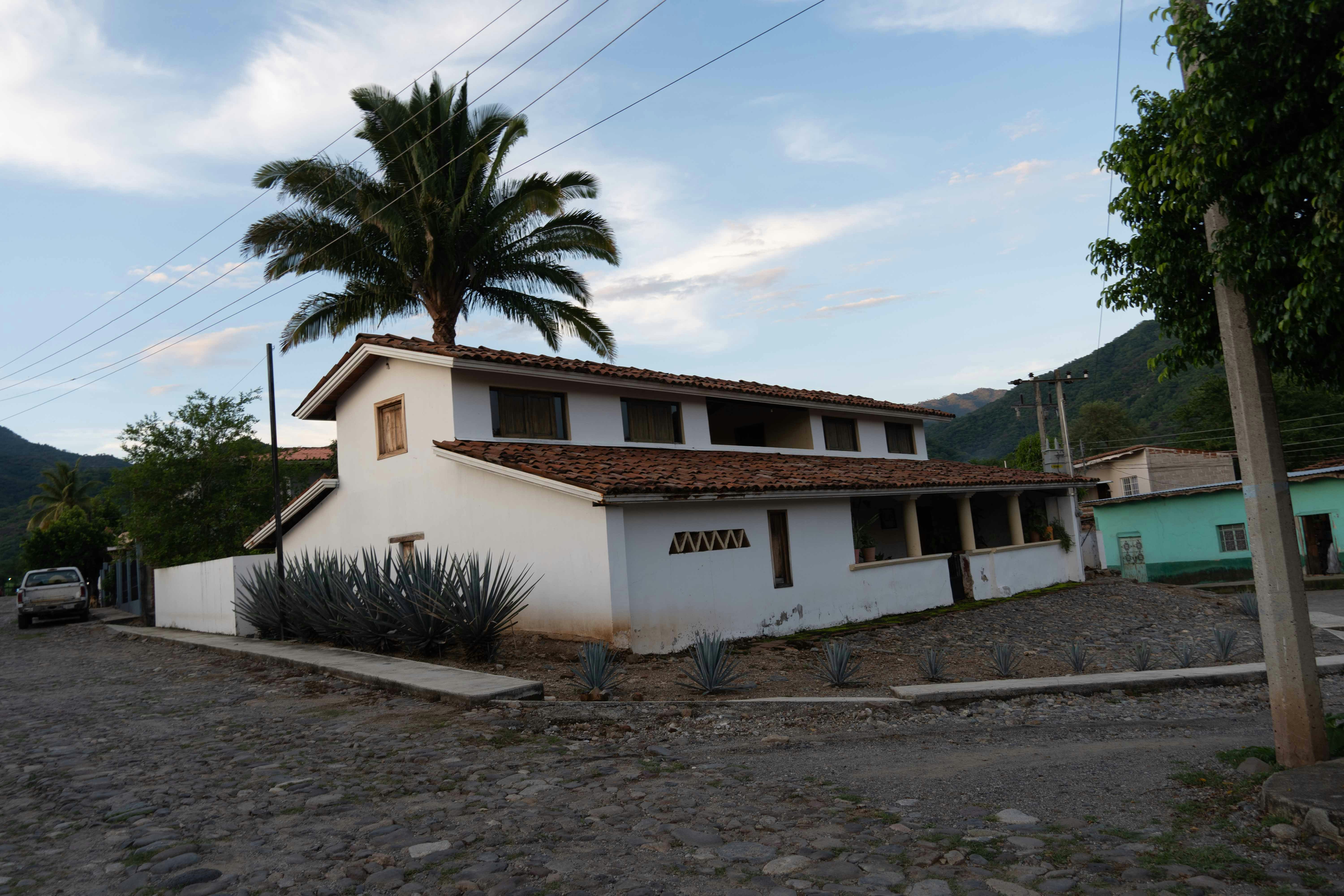 White Villa on a Pebble Street under a Palm-lit Sky