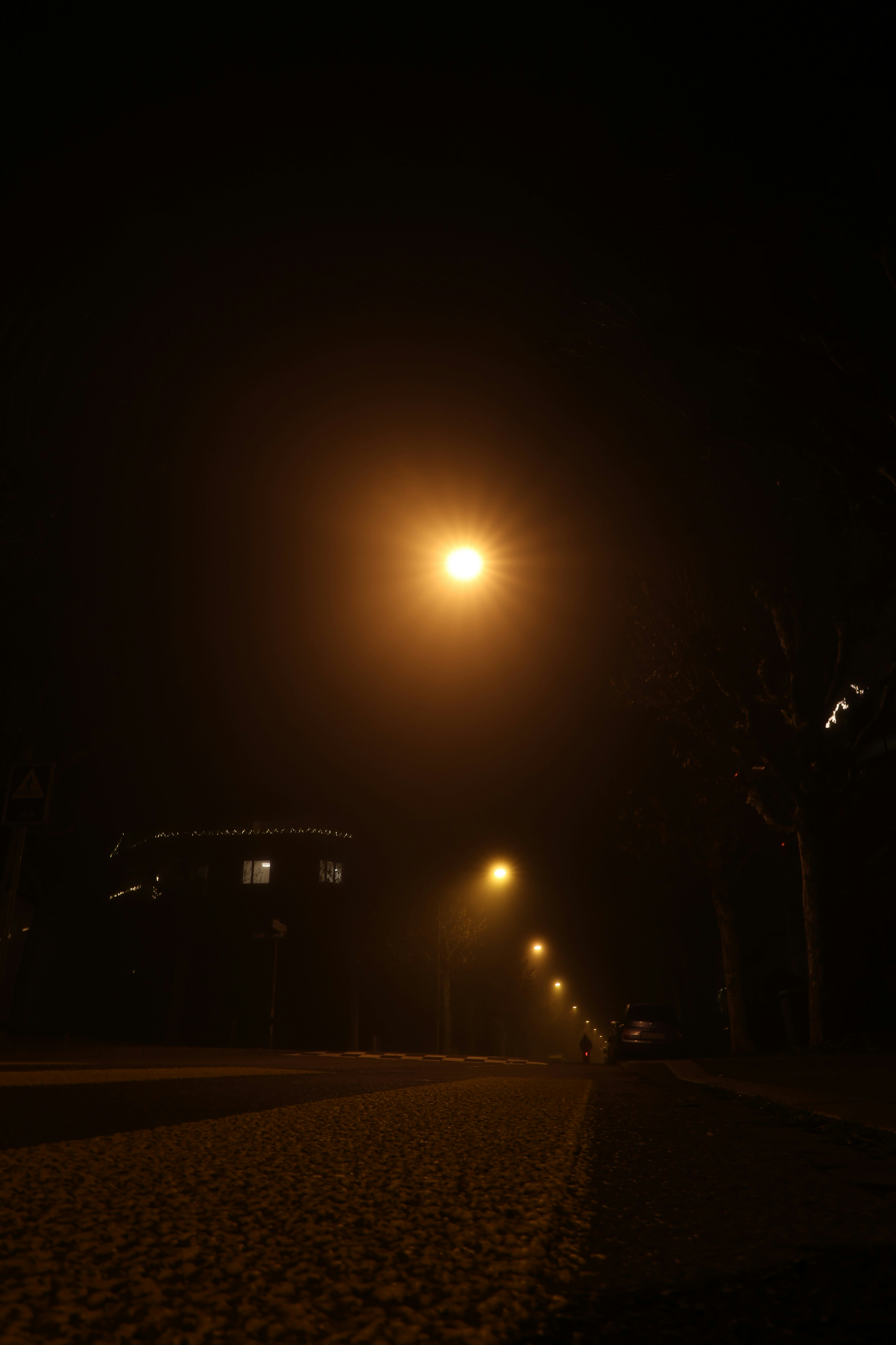 Midnight Streetlamp Symphony over a Quiet Avenue
