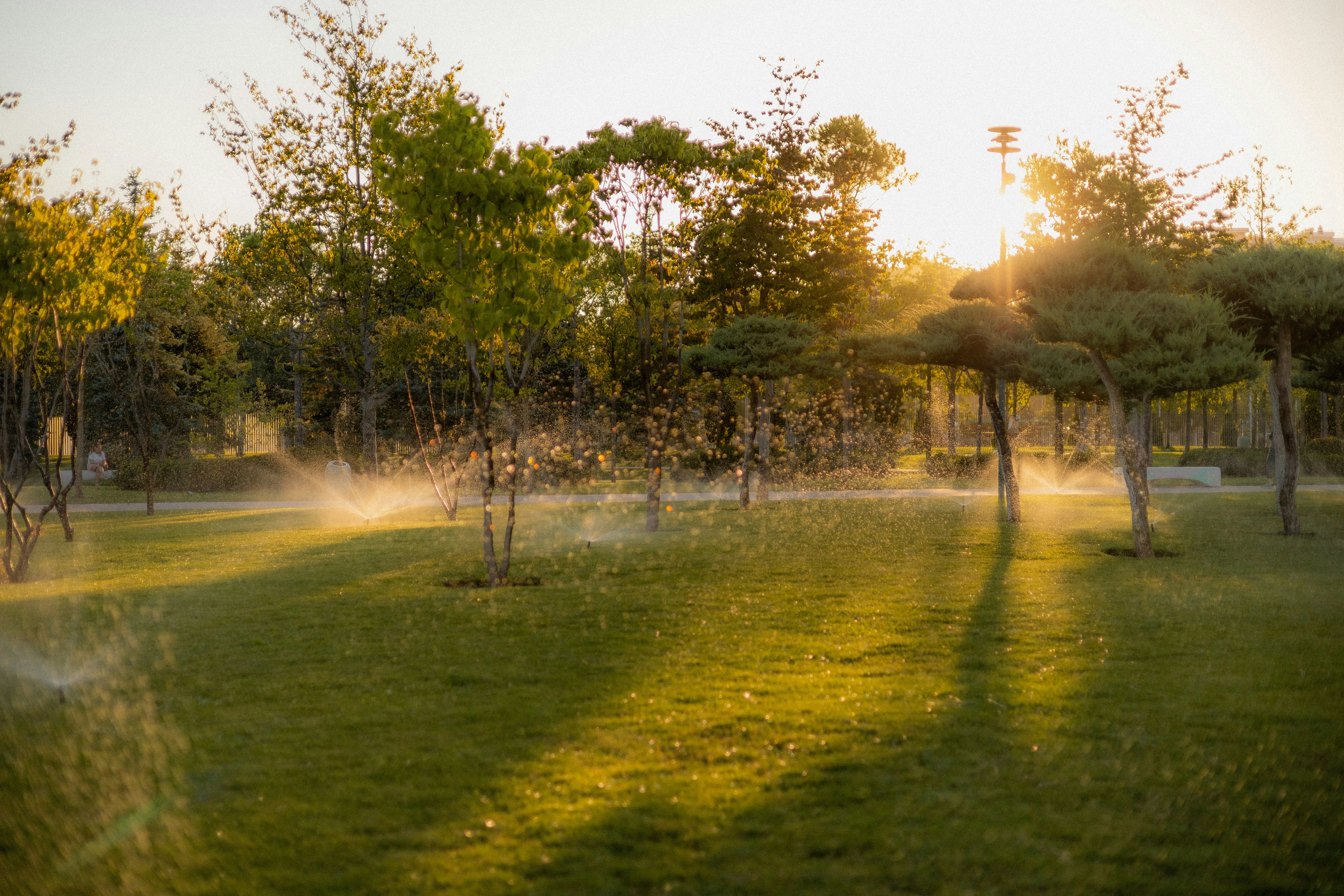 Golden Hour Through a Parkline