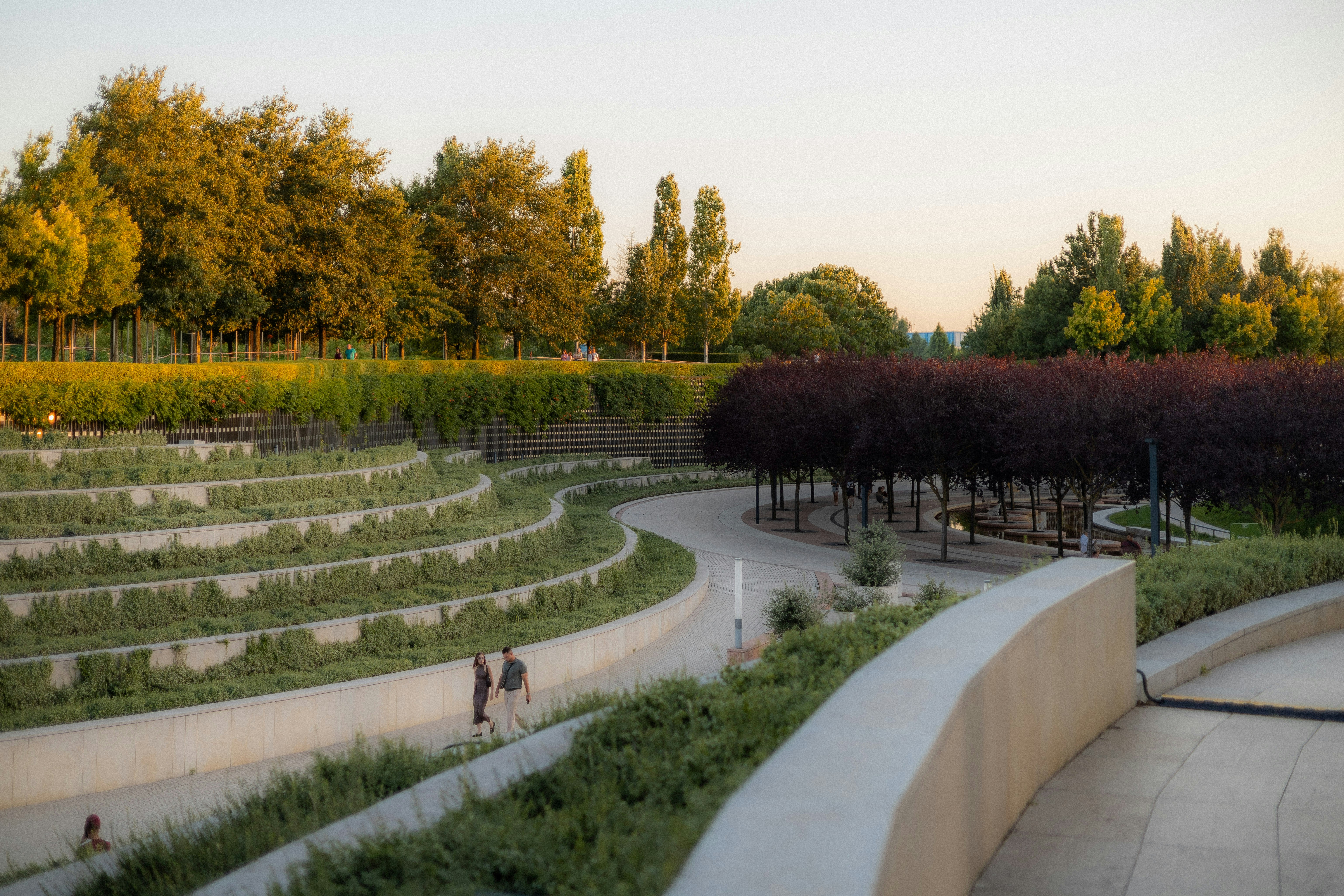 Terraced Garden in Soft Evening Light