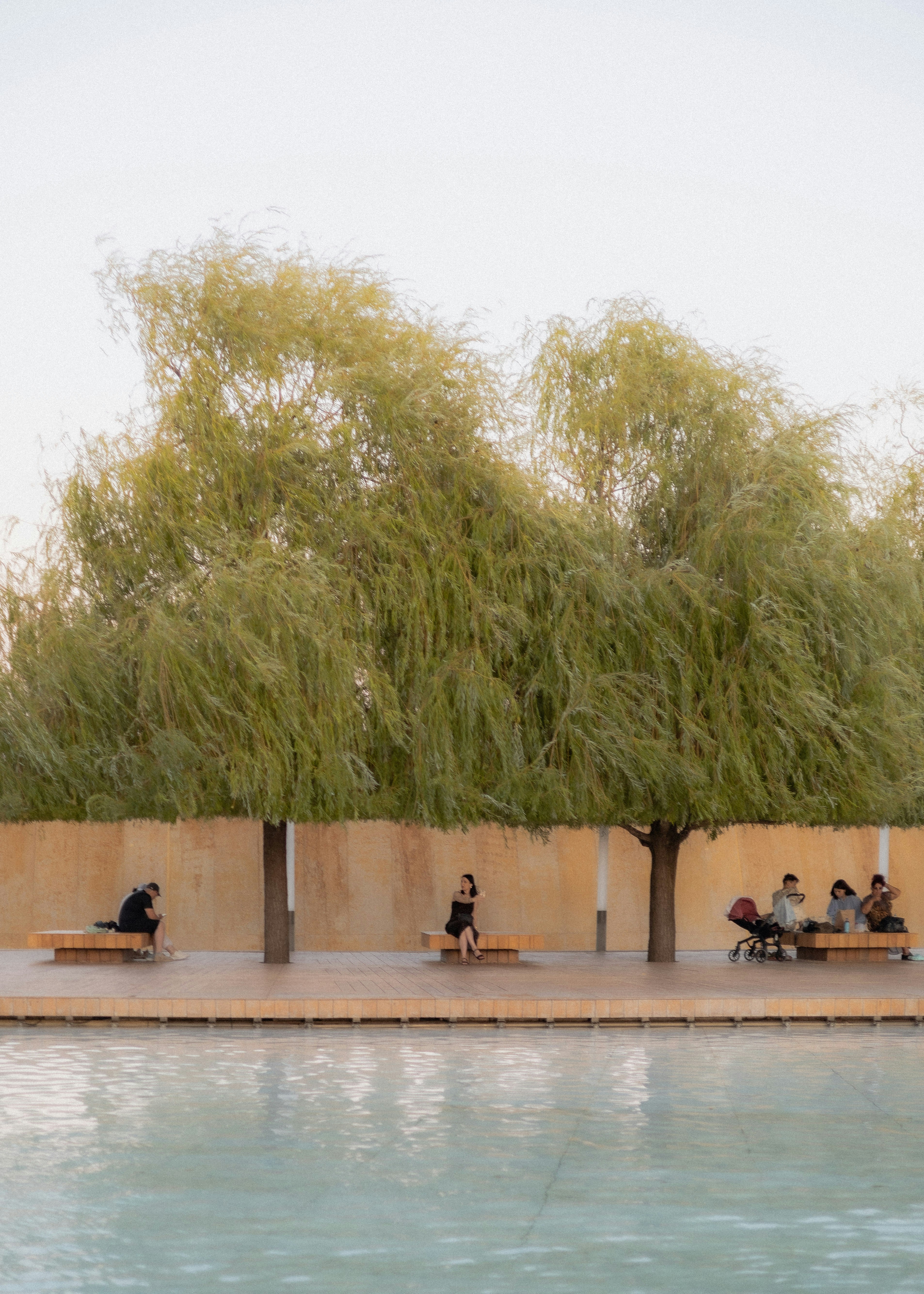 Sunlit Riverside Congregation Under Whispering Weeping Willows