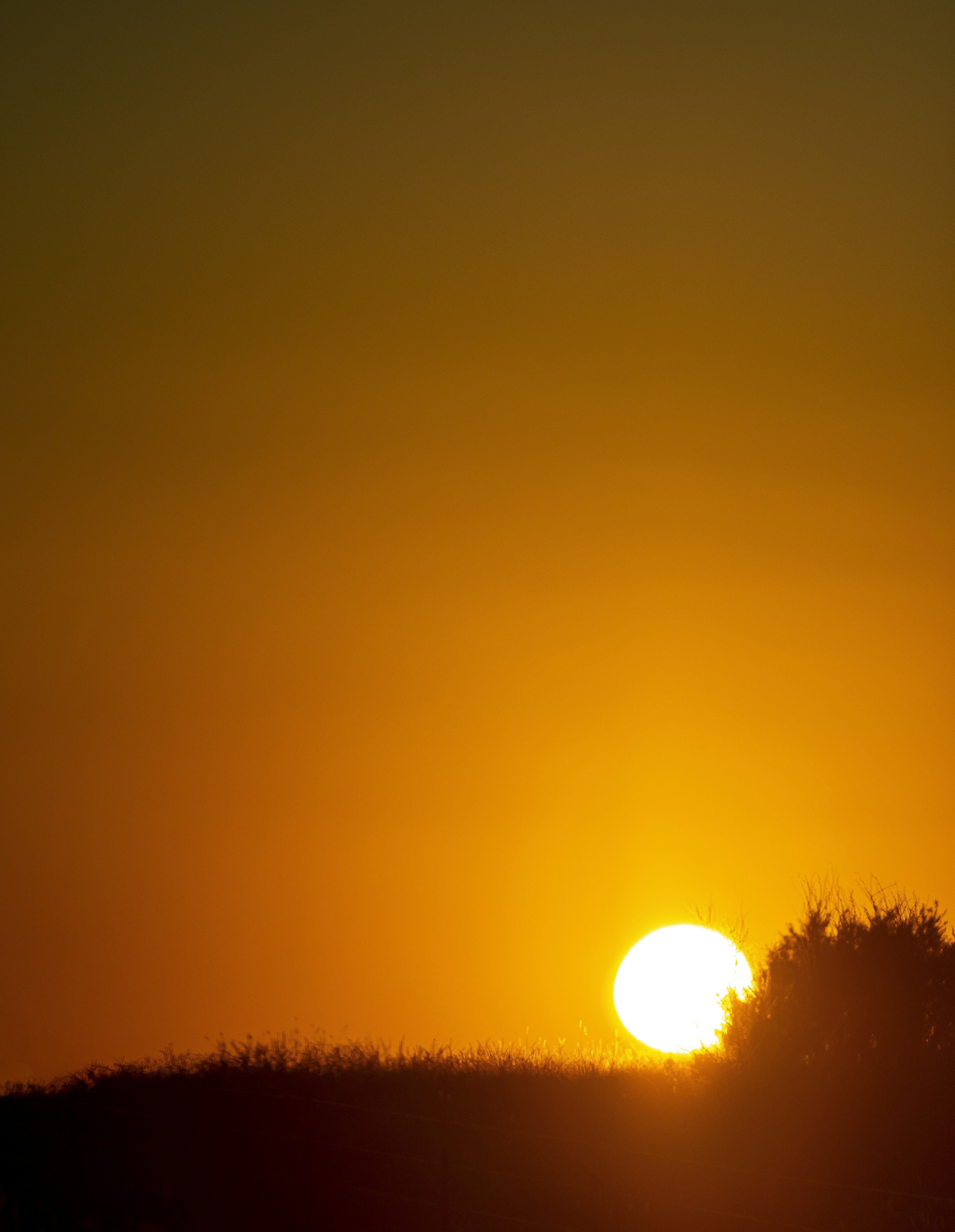 Golden sun sinks behind a silhouetted hill and bushes along the horizon, casting warm hues across a minimal landscape.