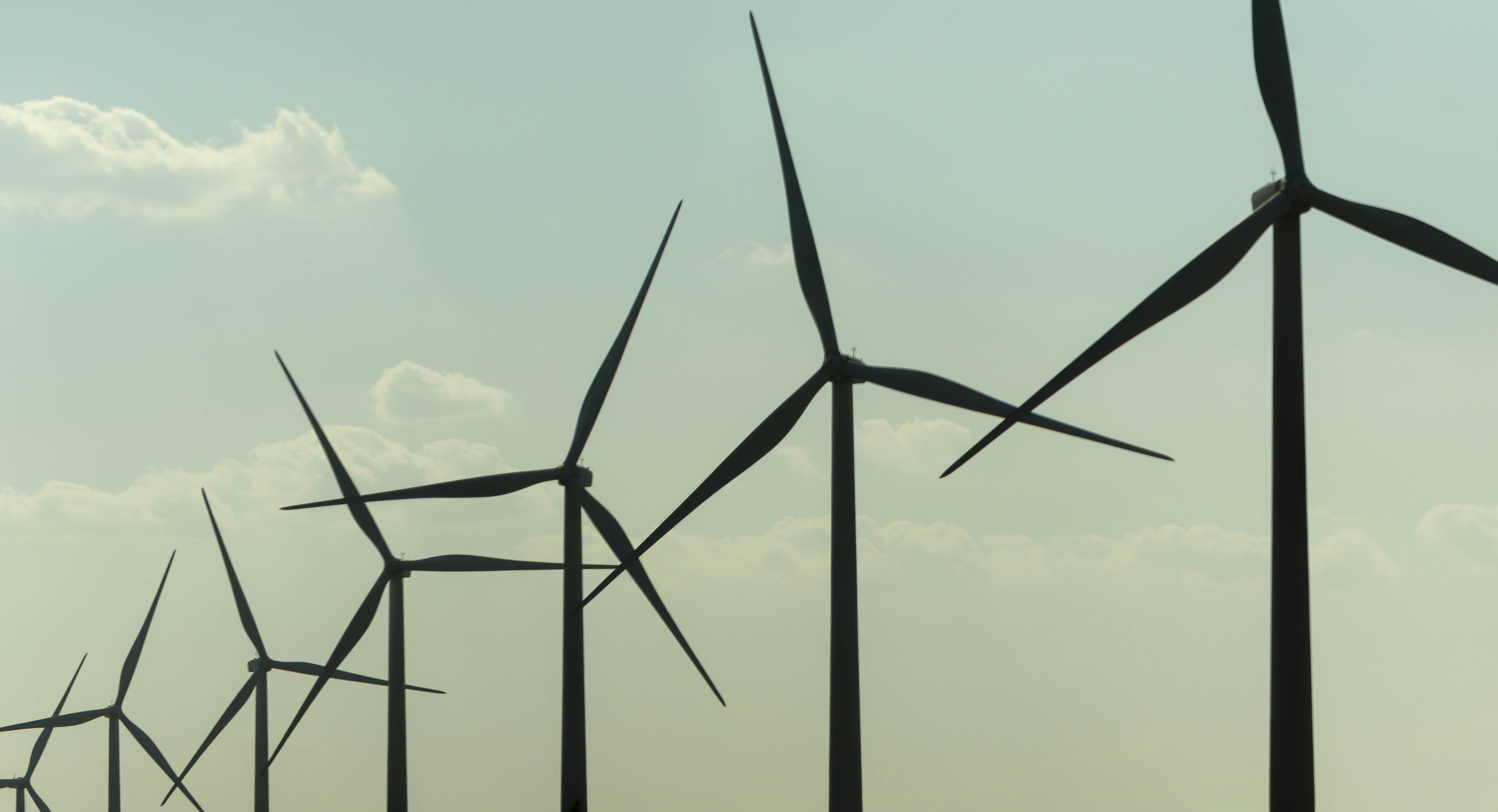 several silhouetted wind turbines lined in a row