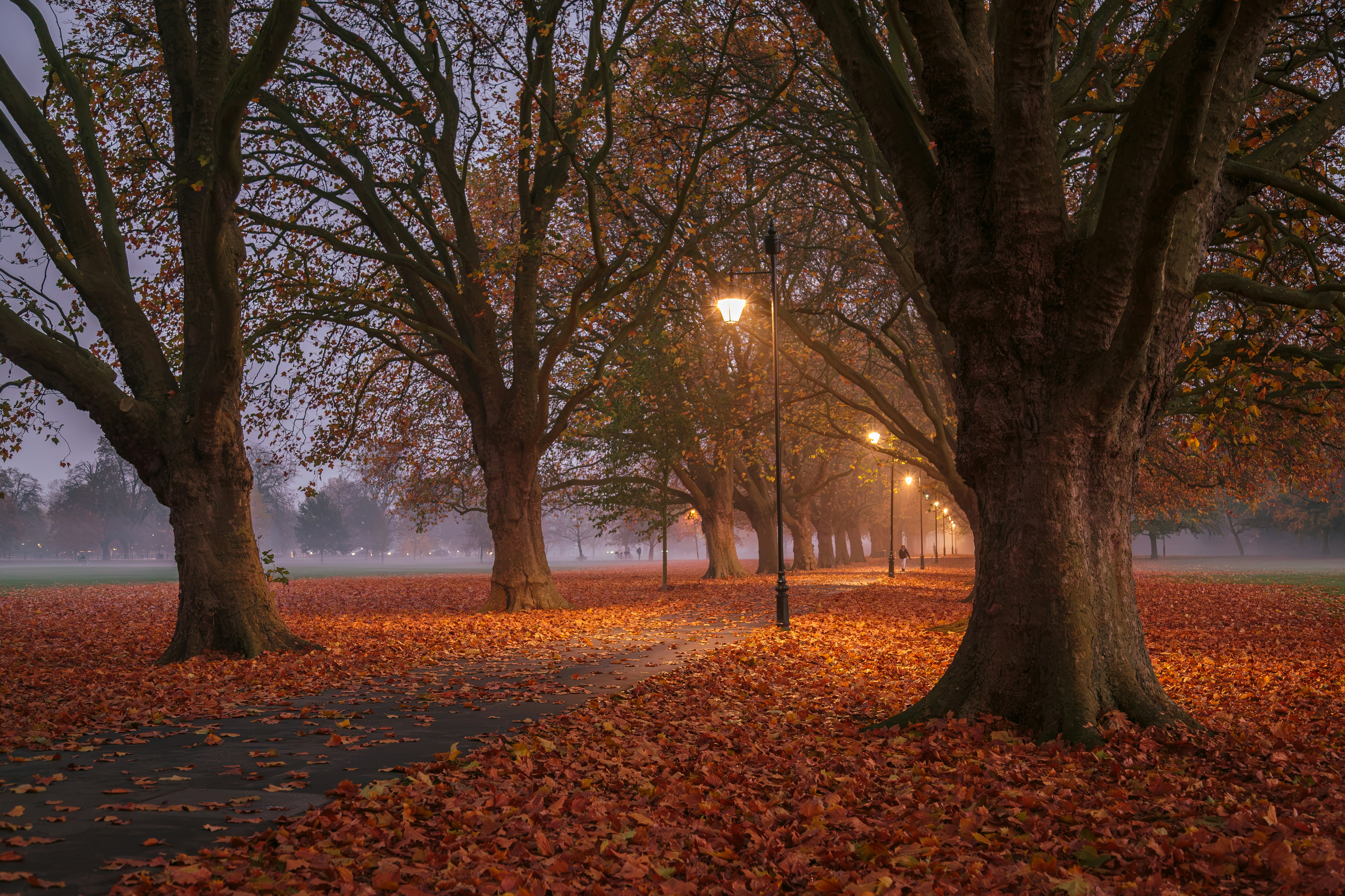 Amber Lane: Autumn Street Glow Beneath Lanterns
