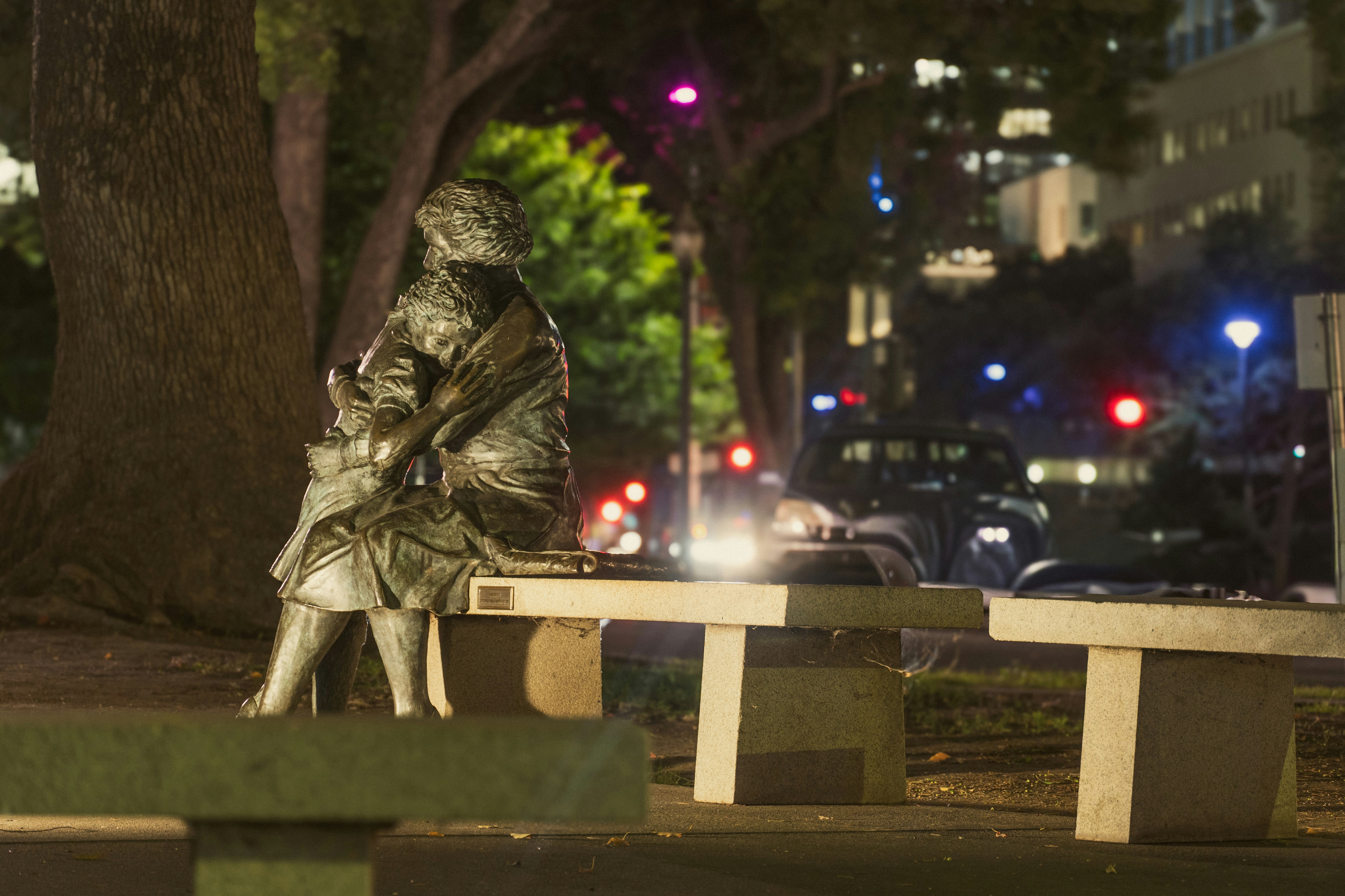 Nighttime Park Bench Reverie