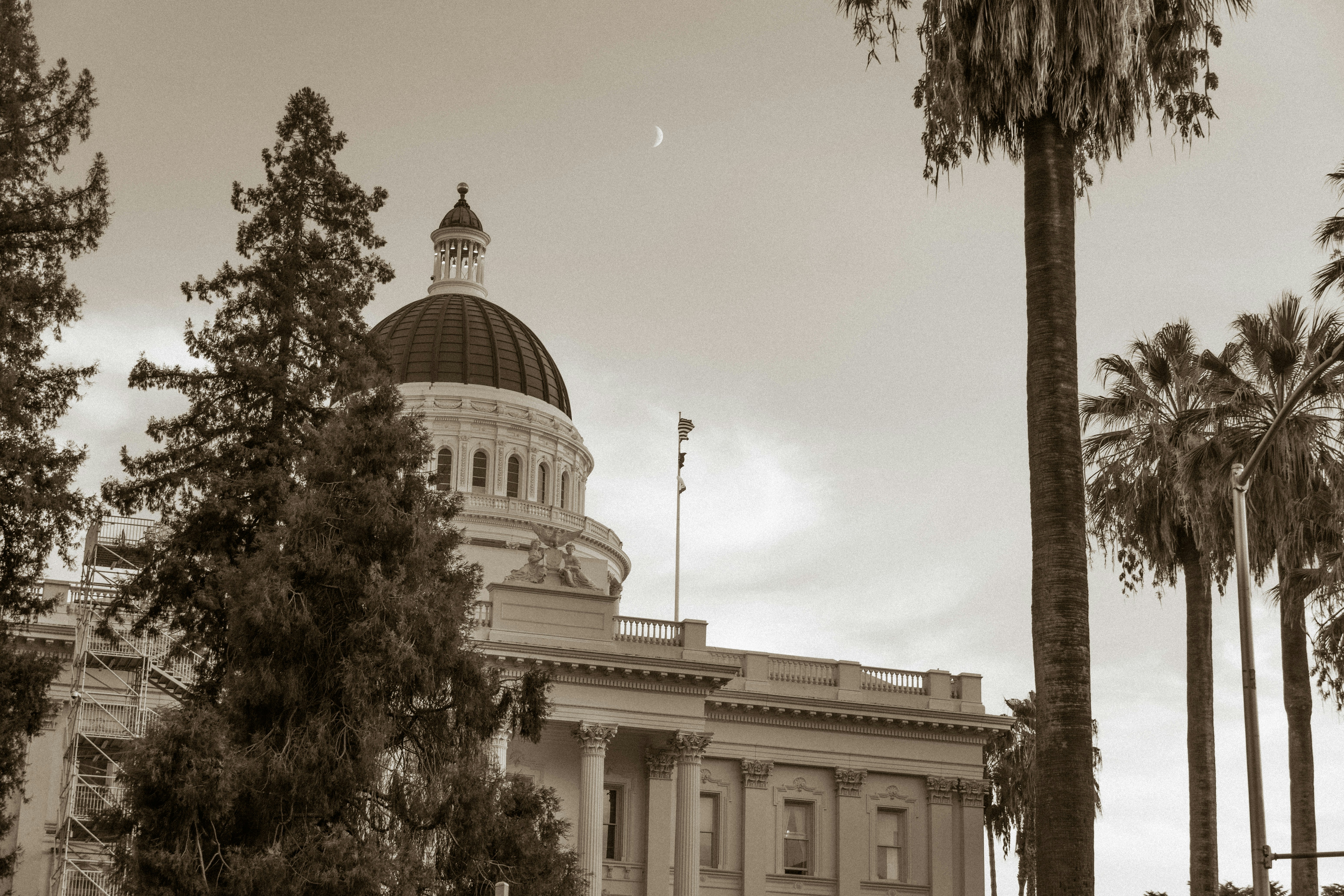 Architectural Crescent: A Civic Dome at Dusk