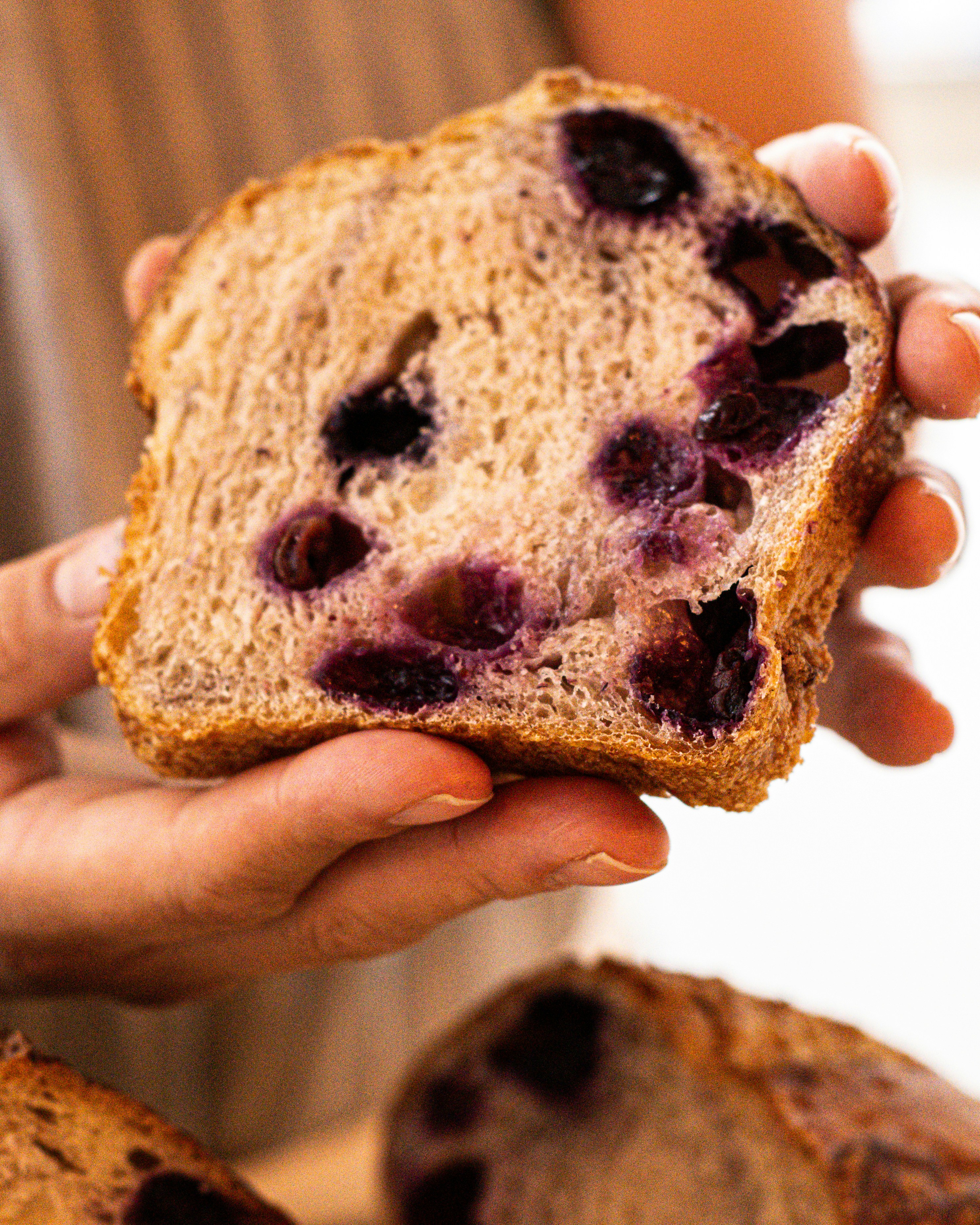 Handful of Blueberry Marble Loaf: A Slice of Comfort