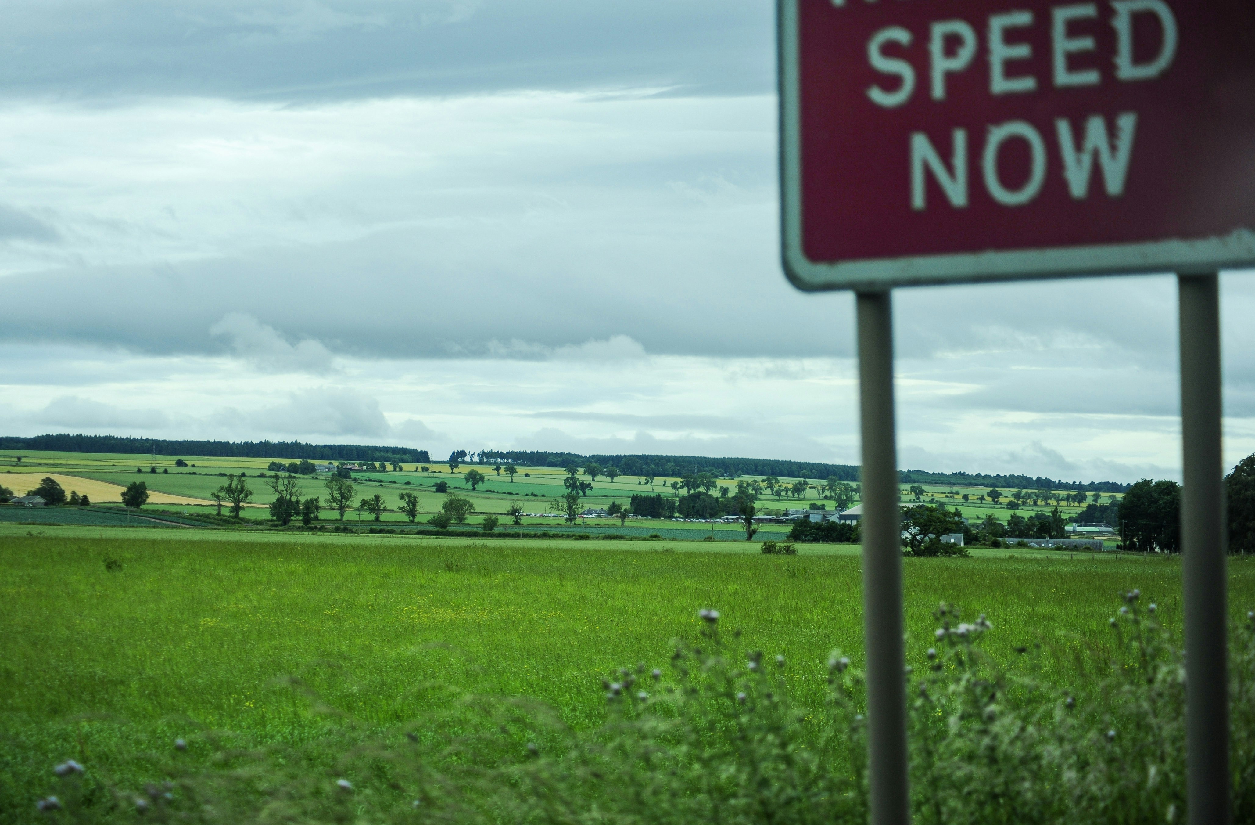 Threshold of Speed: A Rural Roadside Sign Framed by Open Fields