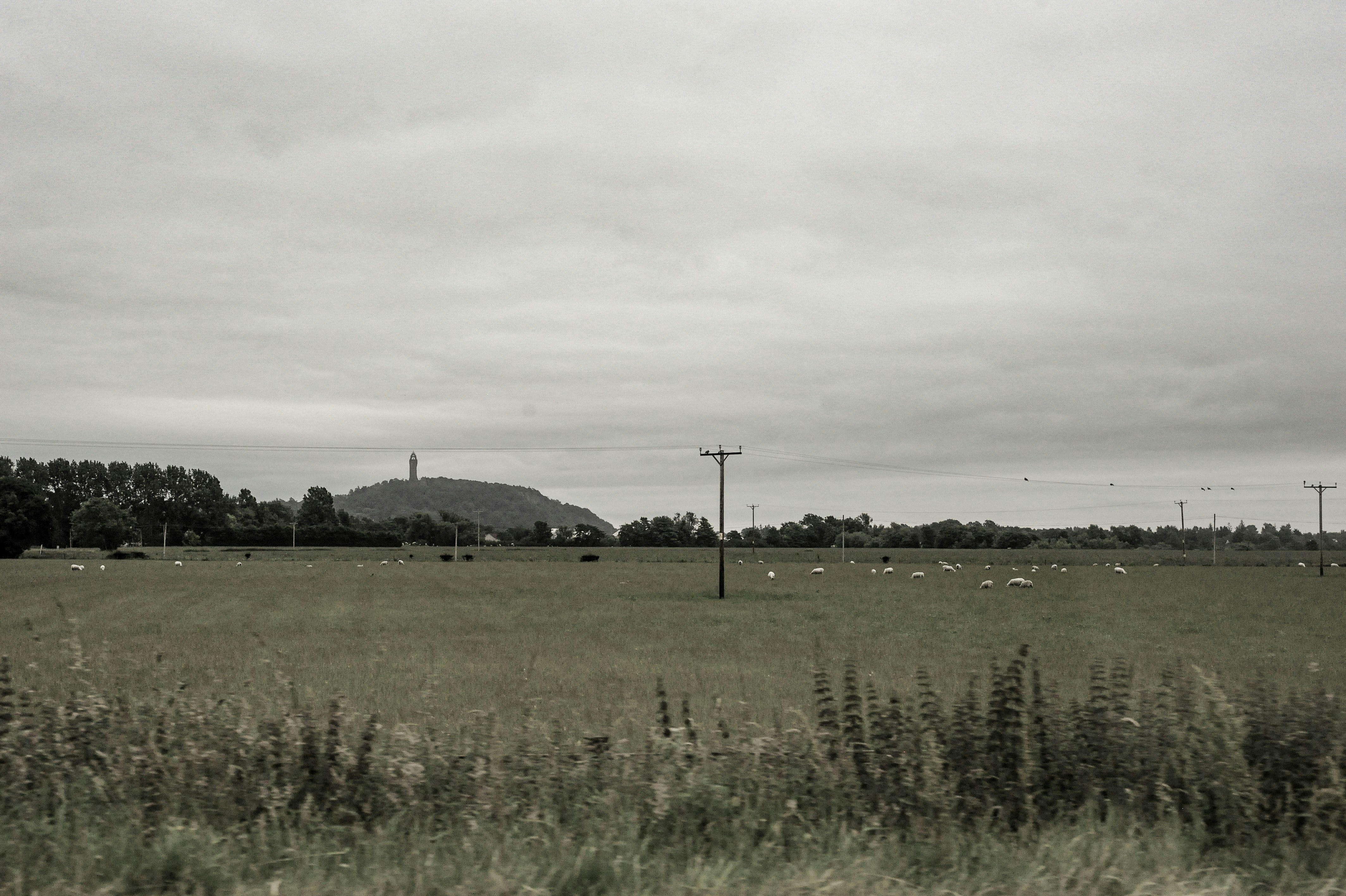 Fields, Power Lines, and a Distant Hilltop Statue