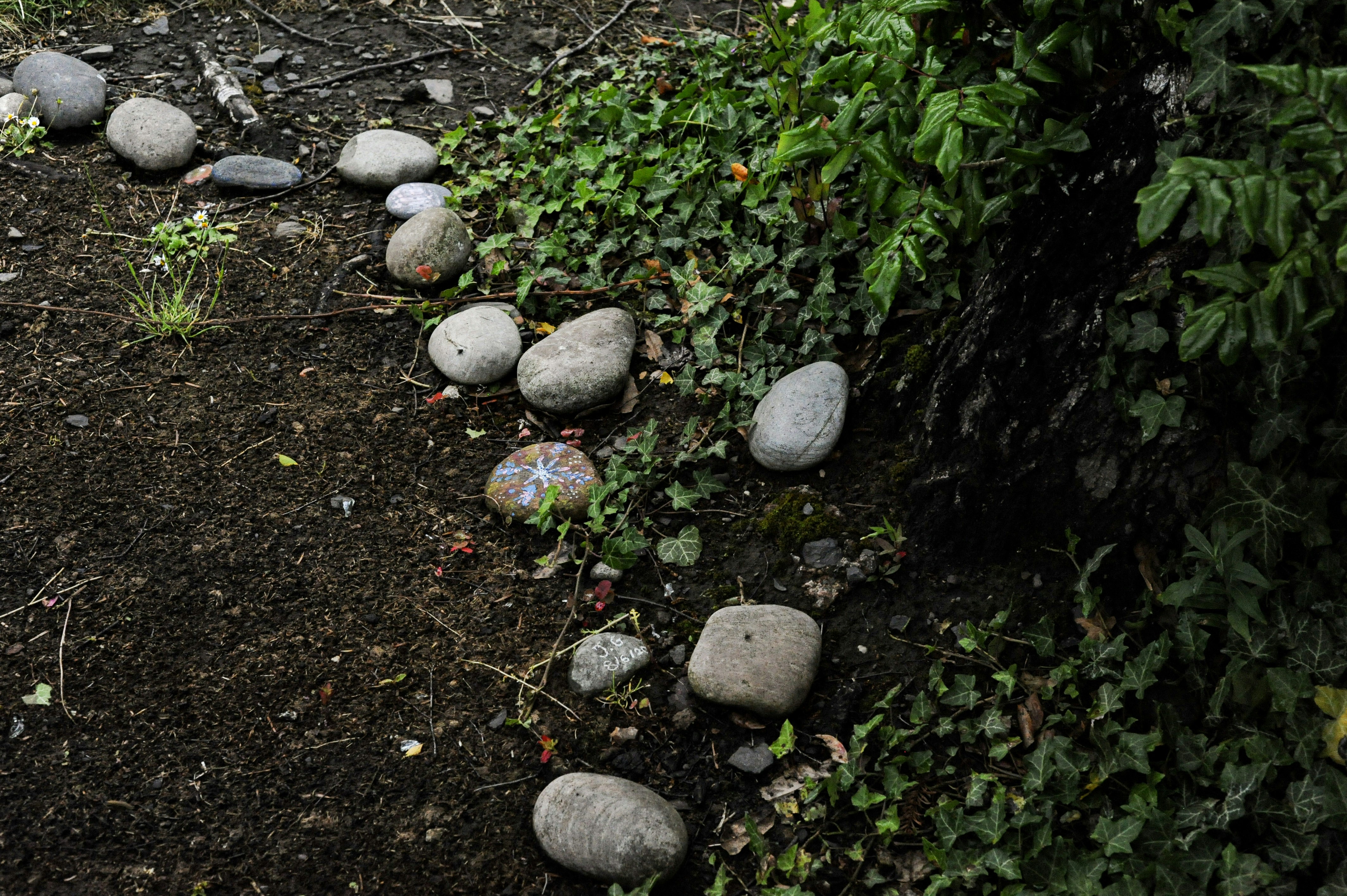Pebble Border of a Quiet Garden