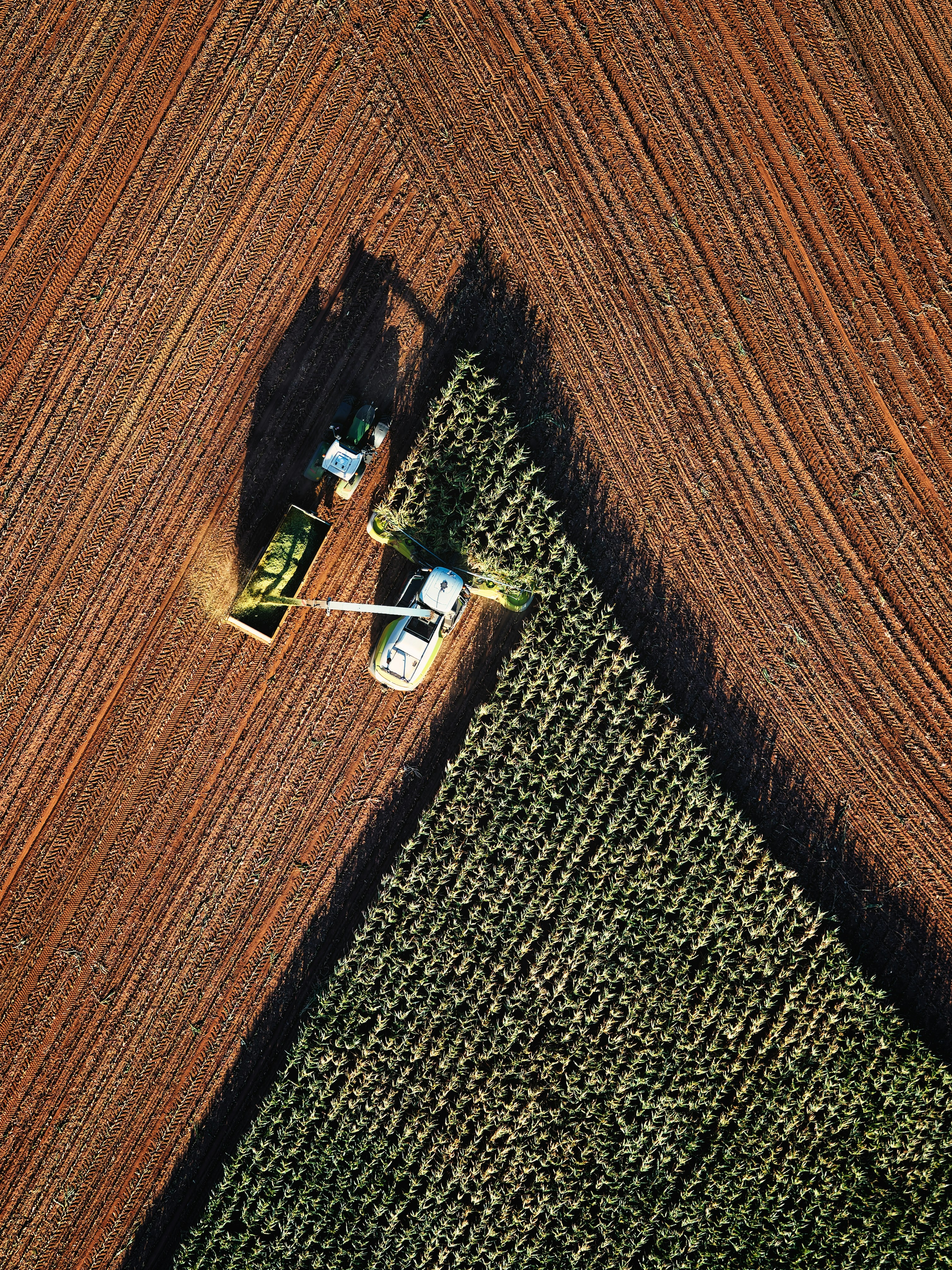Aerial Harvest: Tractors and Converging Rows