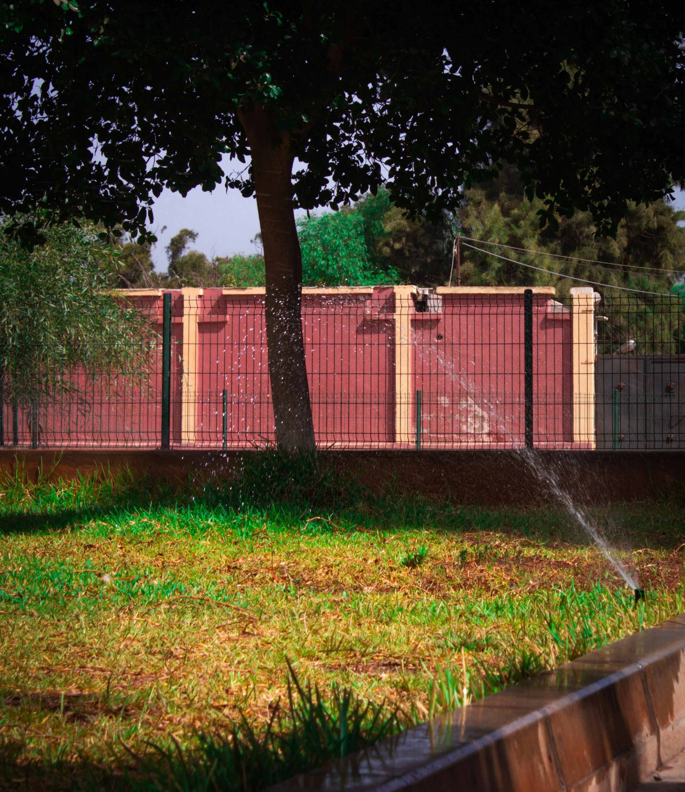 Irrigated Corner: Sunlit Spray across a Fenced Park