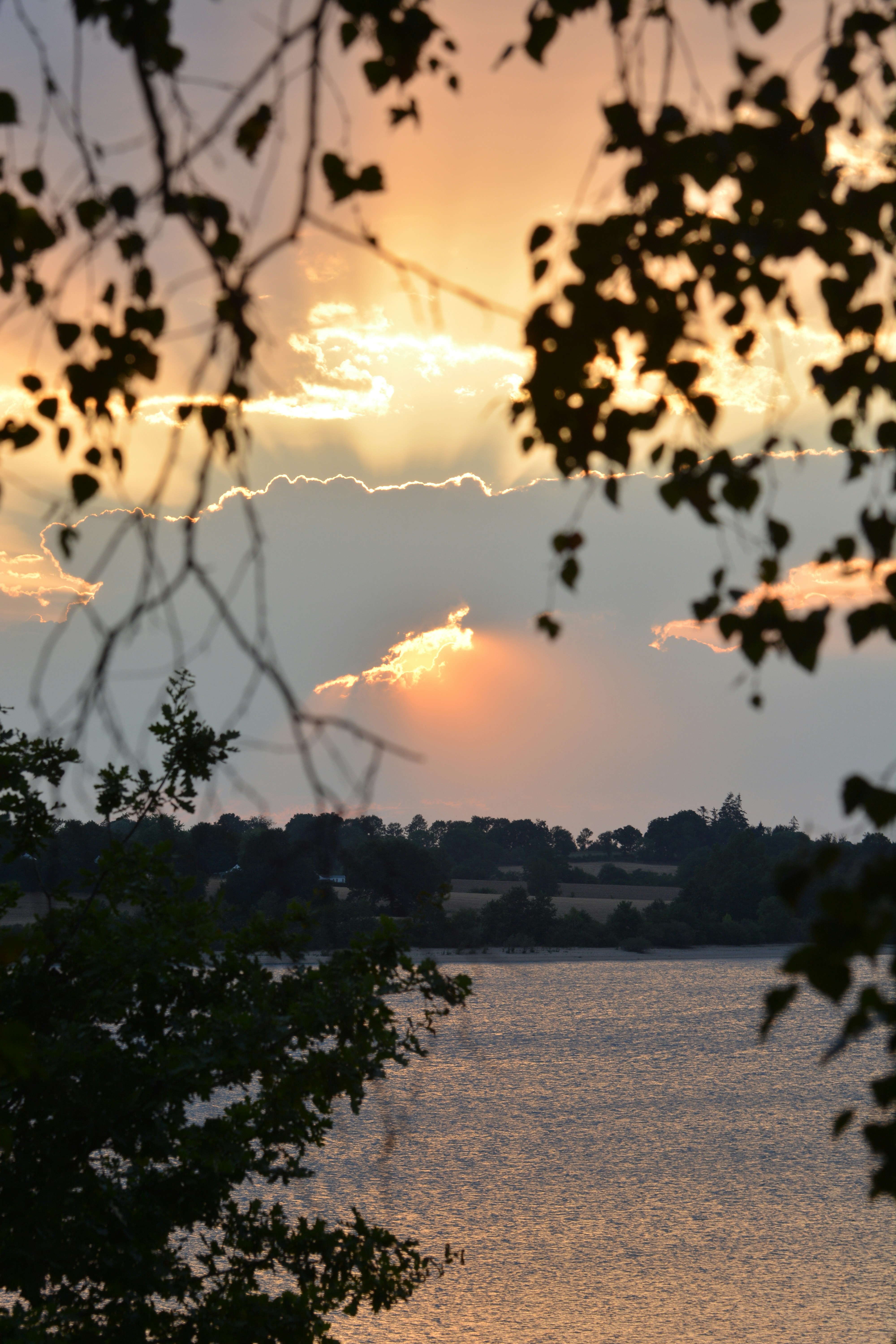 Sunset Veil Over Quiet Lake Framing Branches
