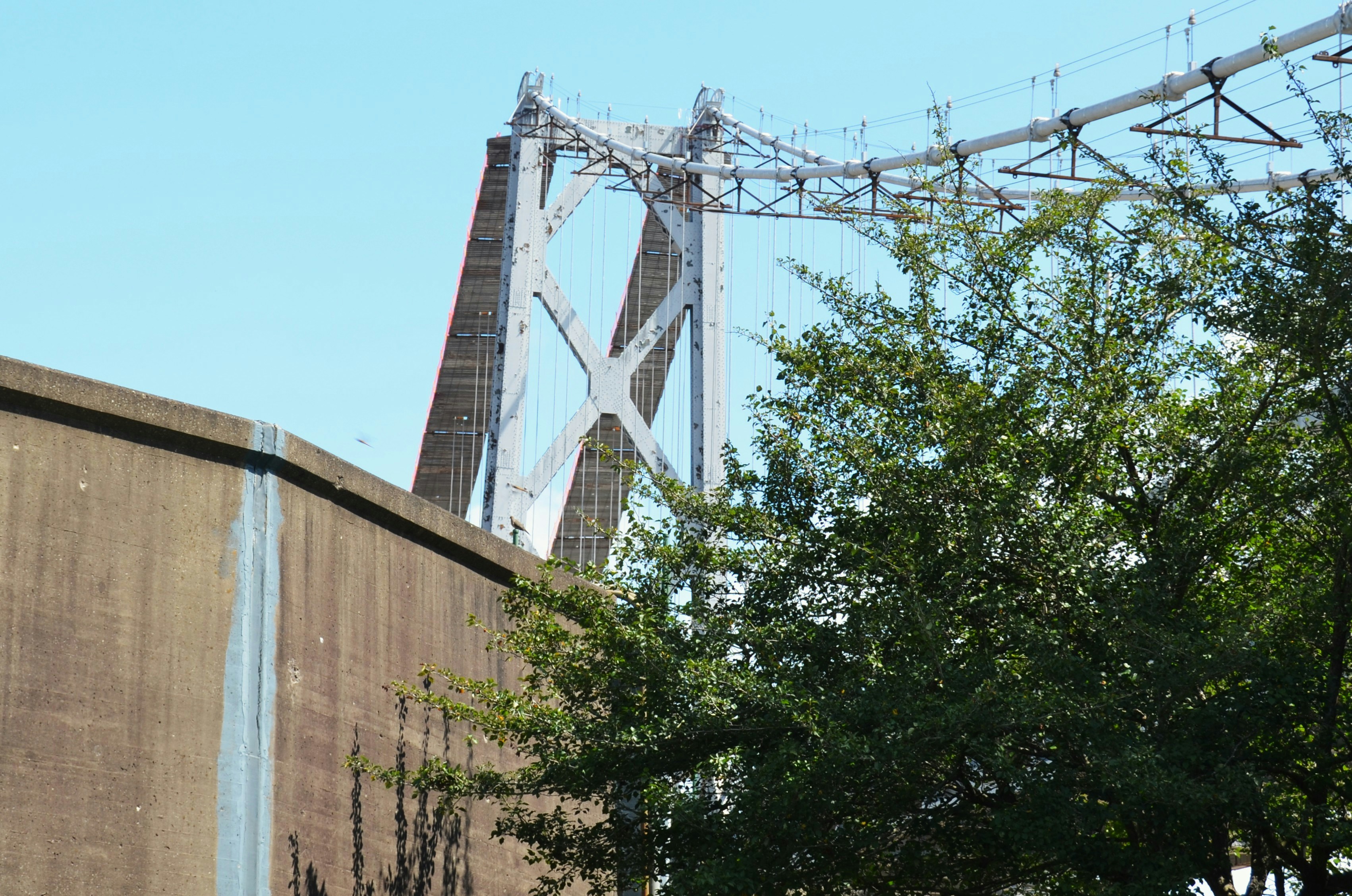 Suspended Vantage: Towering Bridge Amid Urban Canopy