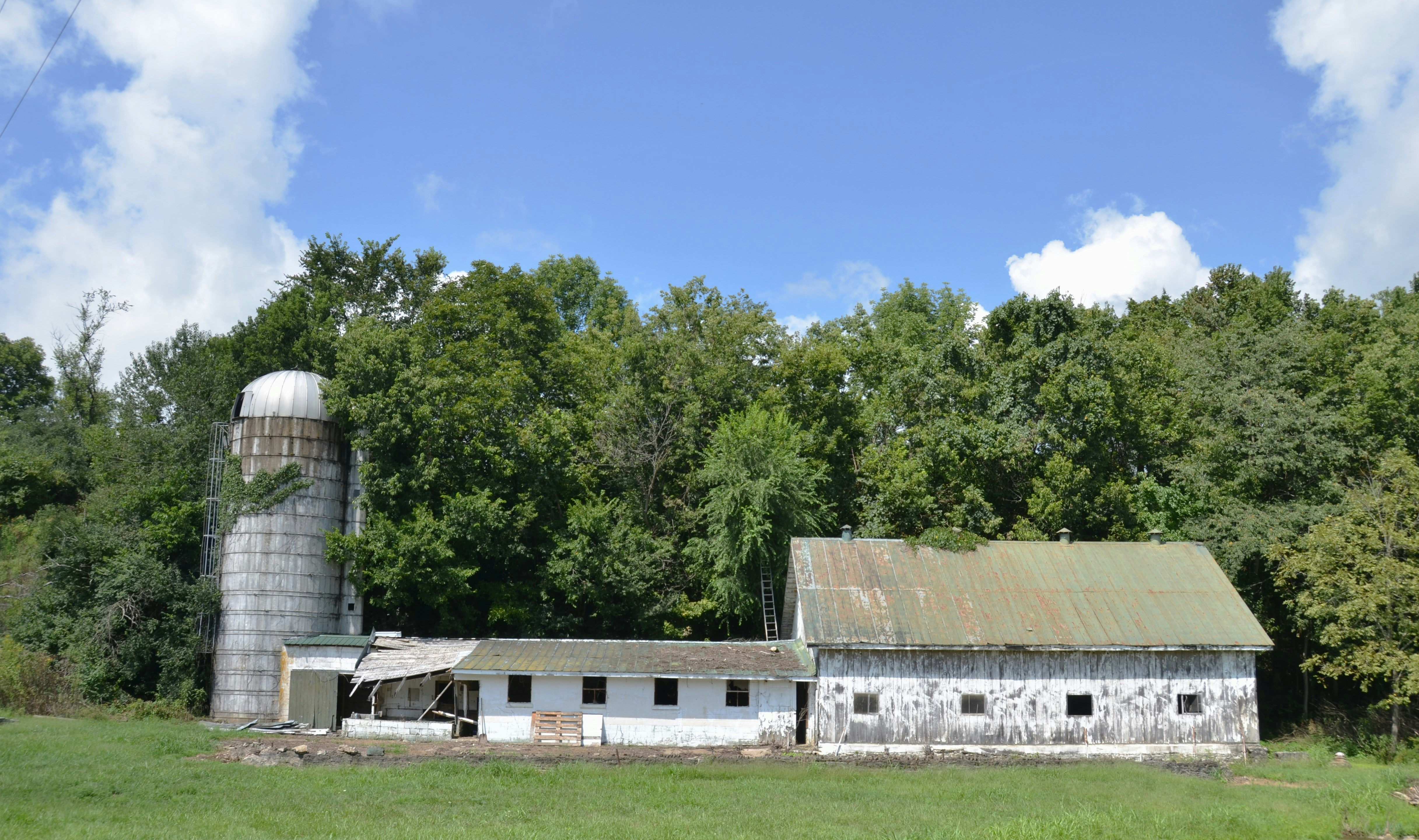 Weathered barn and silo nestle at the edge of sunlit pasture