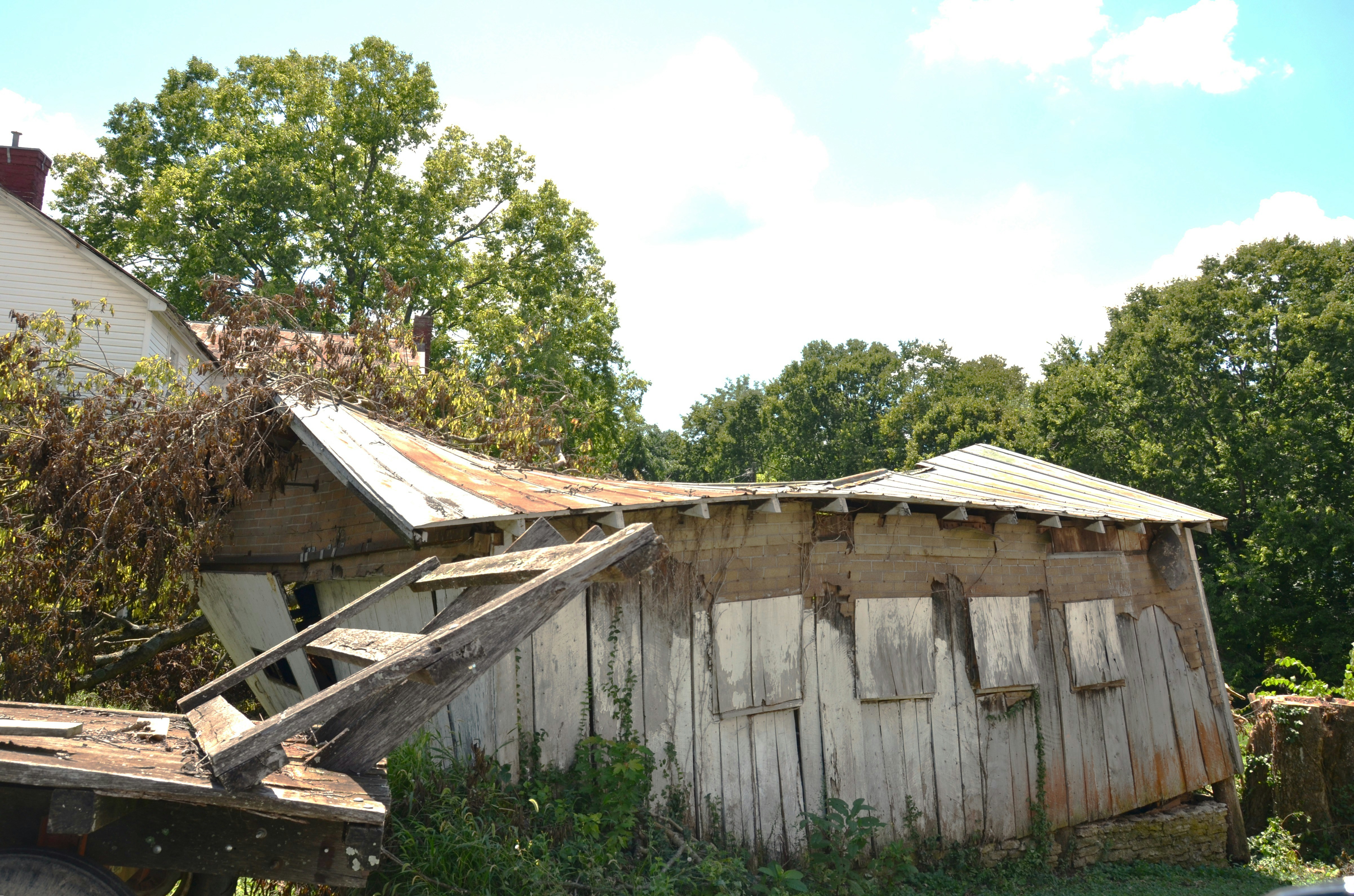 Crumbled Outbuilding Amid Sunlit Greenery