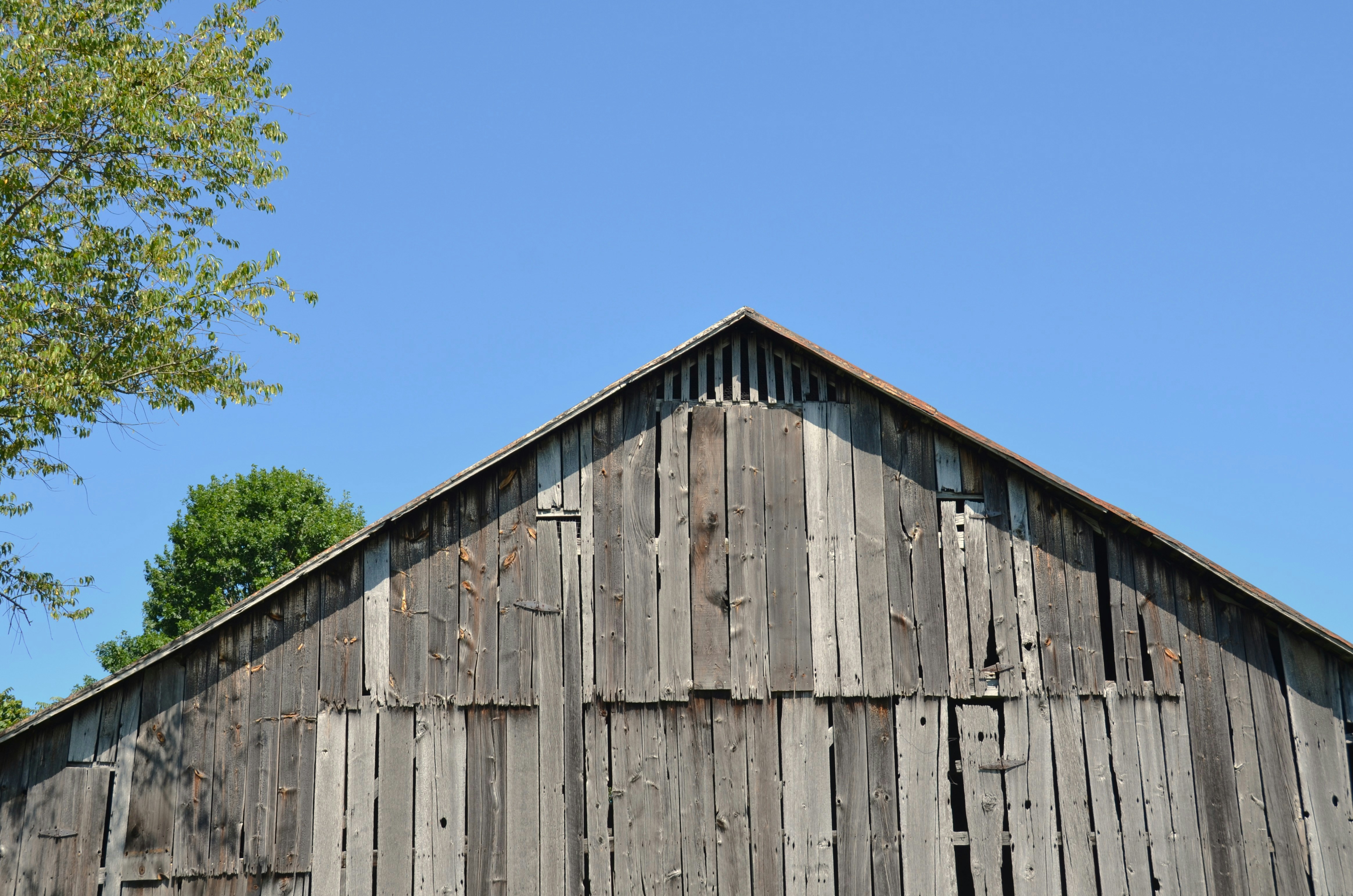 Weathered Barn Facade Reaching Toward a Clear Sky
