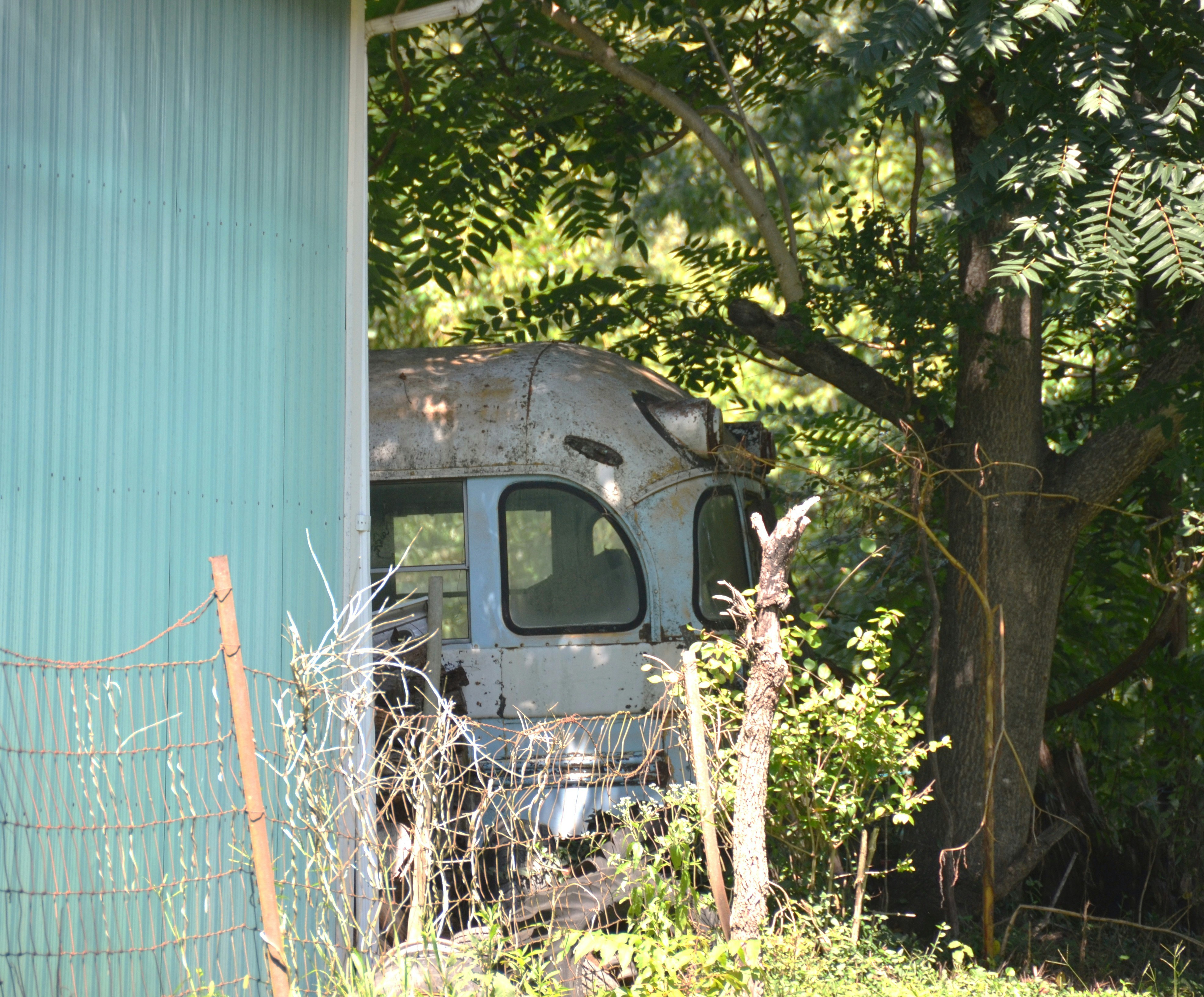 Overgrown Crane: A Rusted Engine Hidden in Greenery