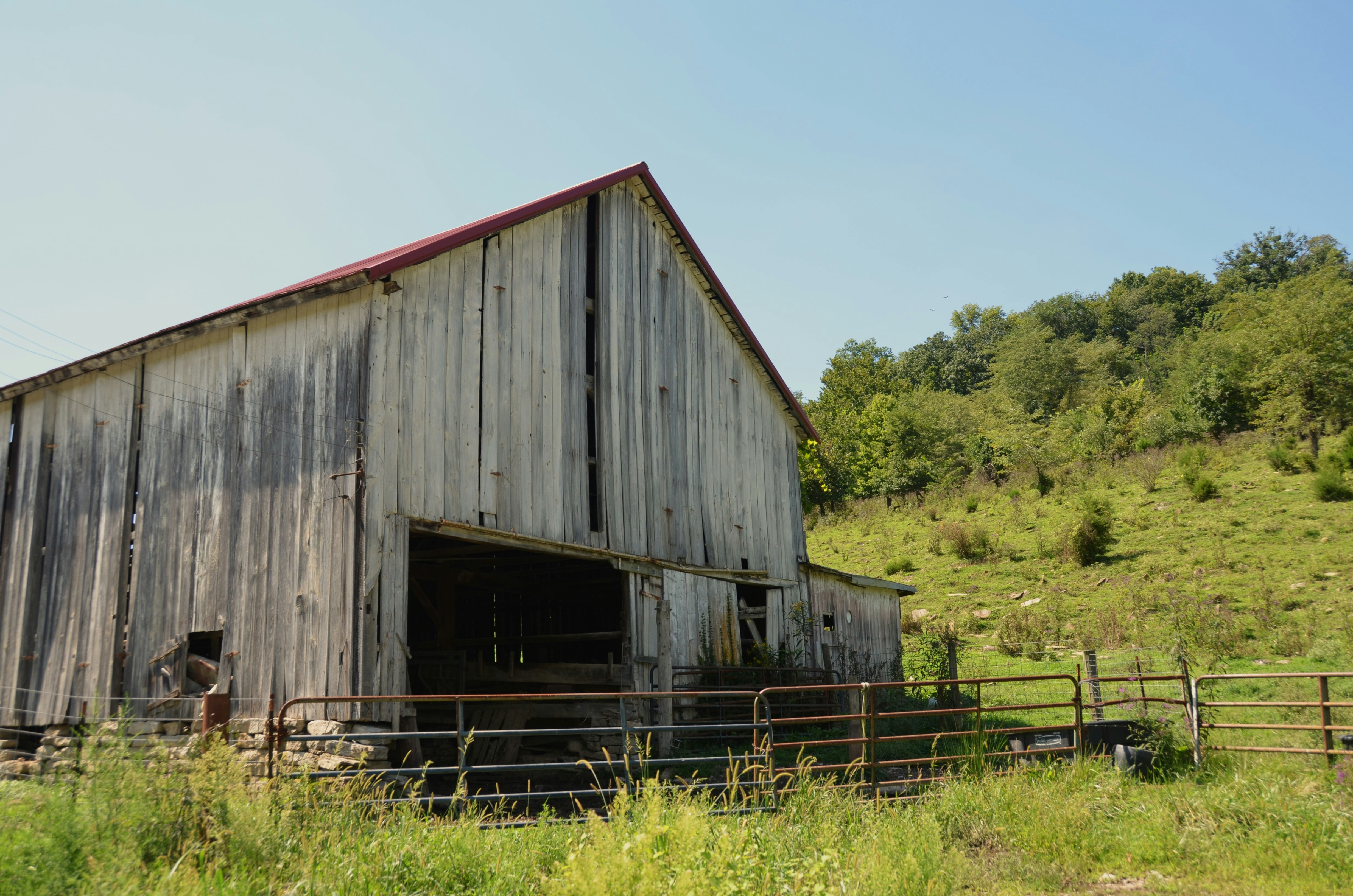 Sunlit Weathered Barn Amid Rolling Grass