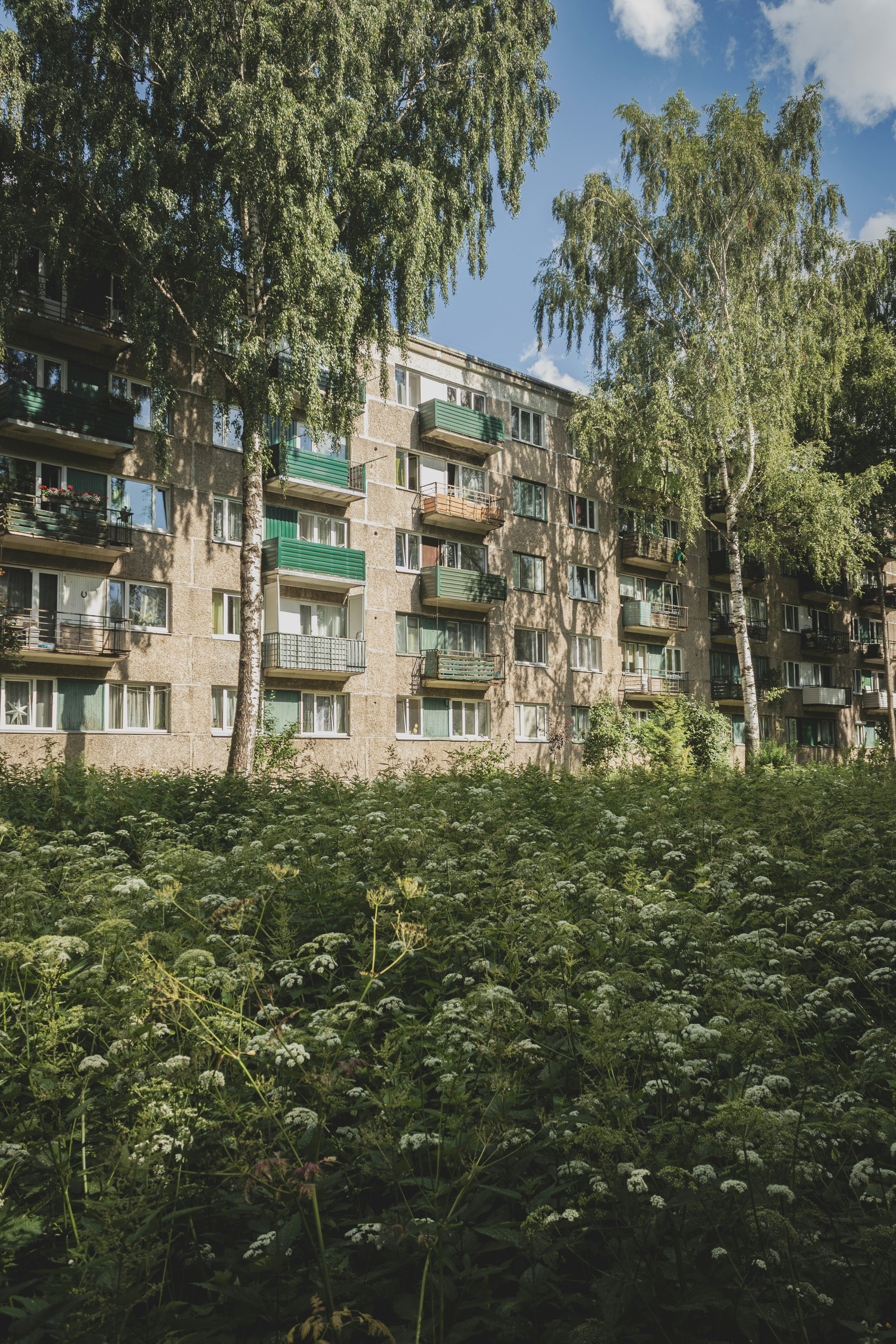 Urban Meadow in Front of a Shared-Flat Building