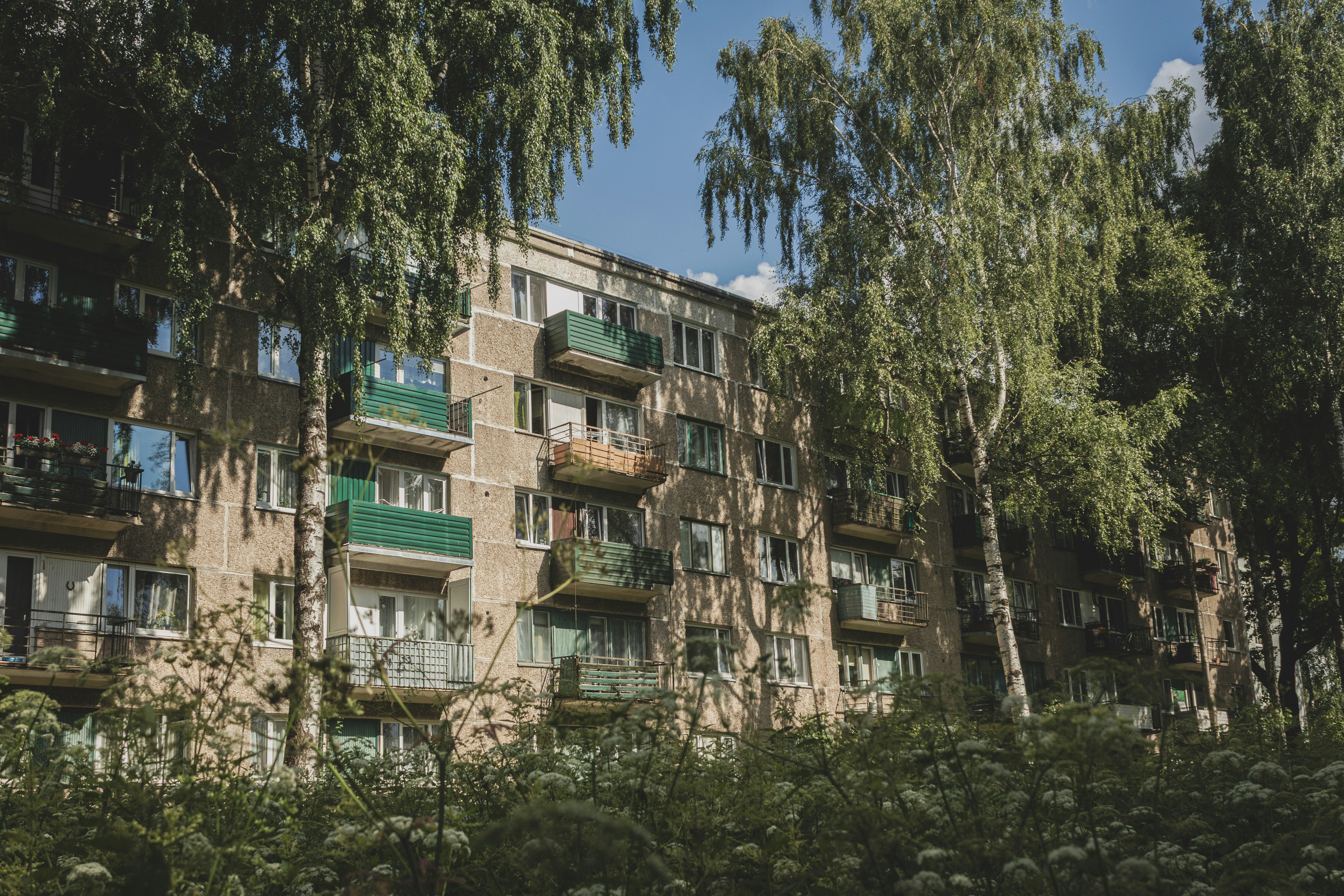 Green Courtyard Echoes: A Quiet Facade Behind Lush Trees