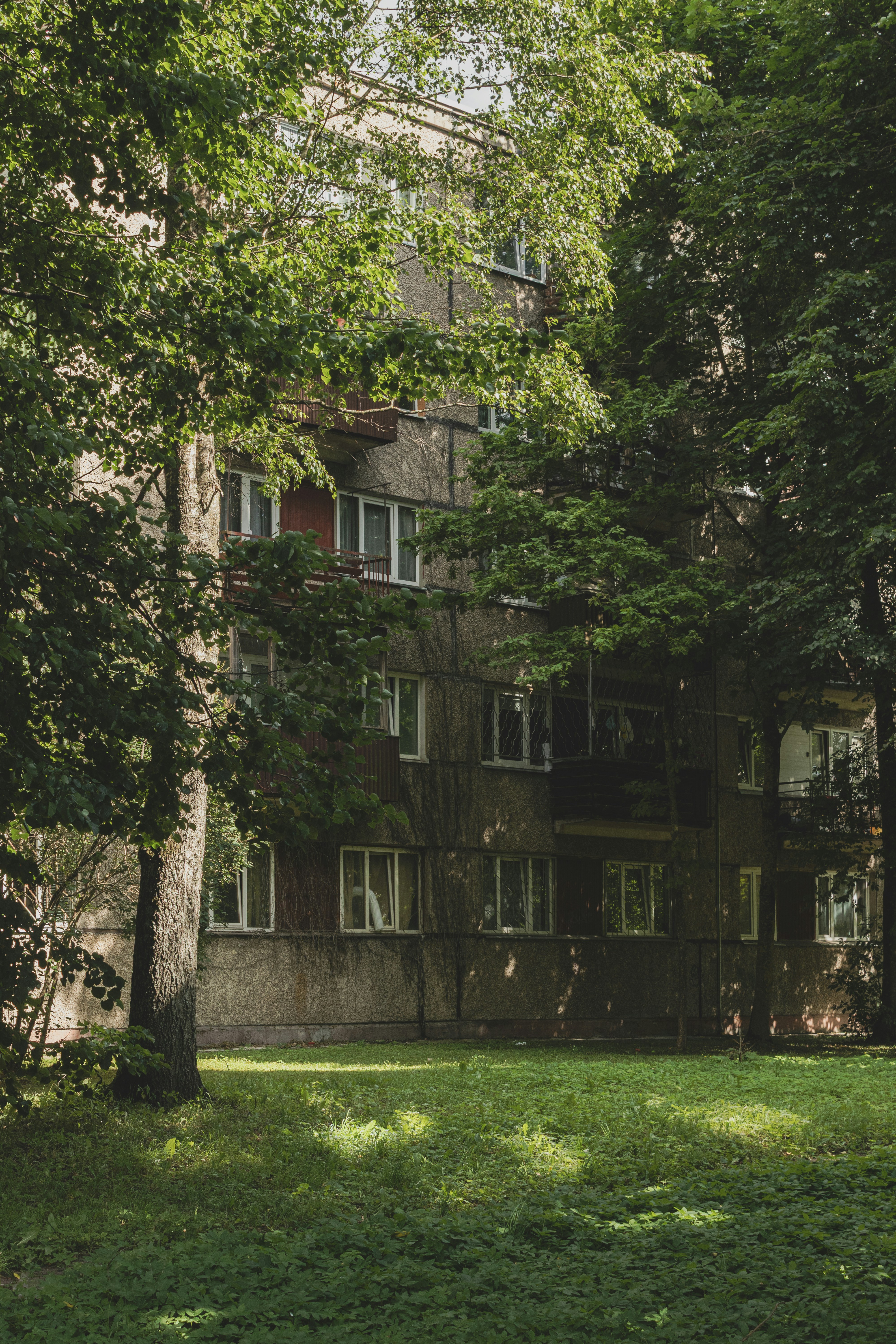 Overlooked Courtyard: Sunlit Green Beneath a Concrete Residential Façade