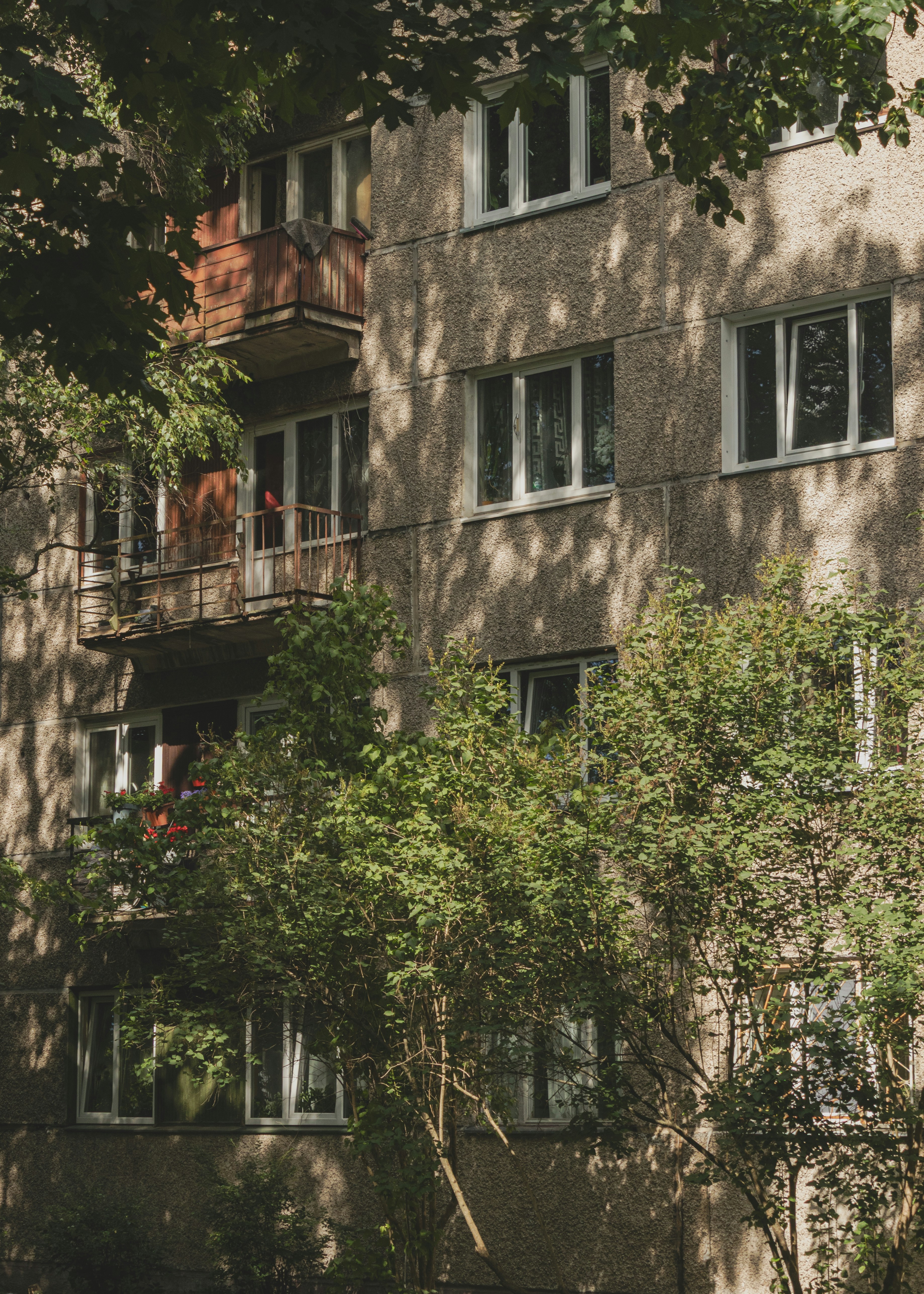 Sun-dappled facade: trees casting patterns across a mid-century apartment block