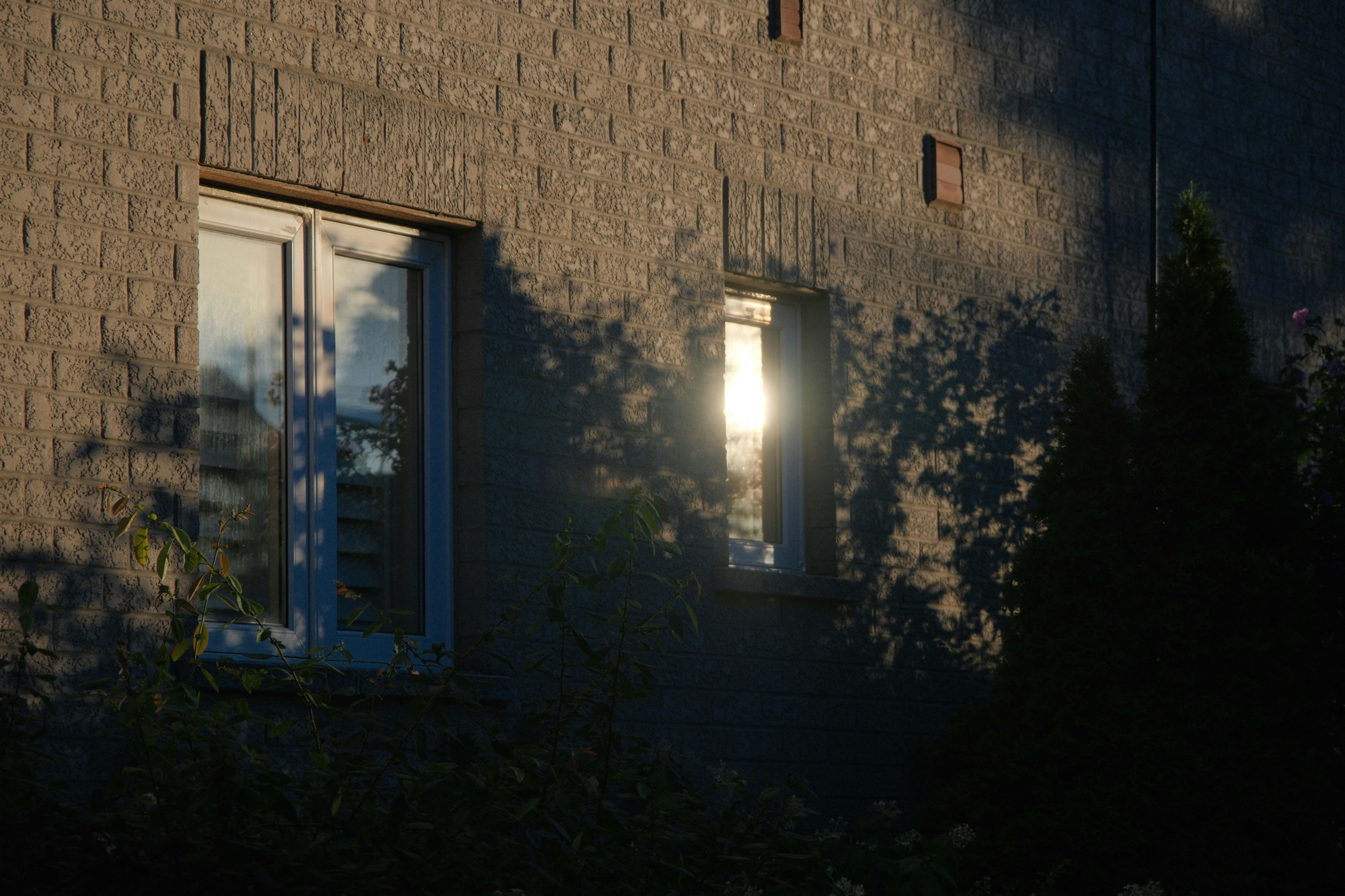 Golden Light on a Quiet Brick Facade