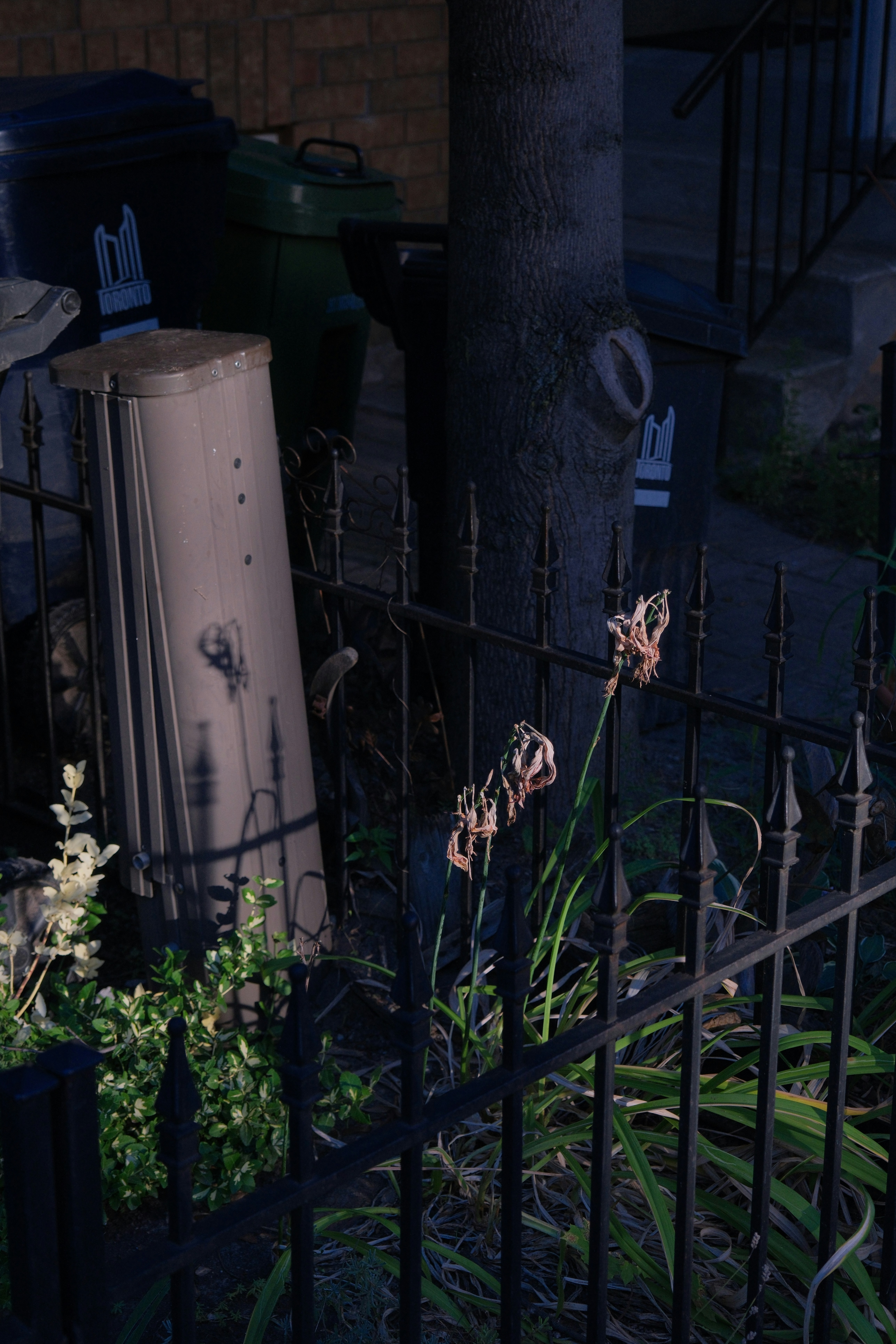 Shadowed Urban Corner with Overgrown Fence and Planter