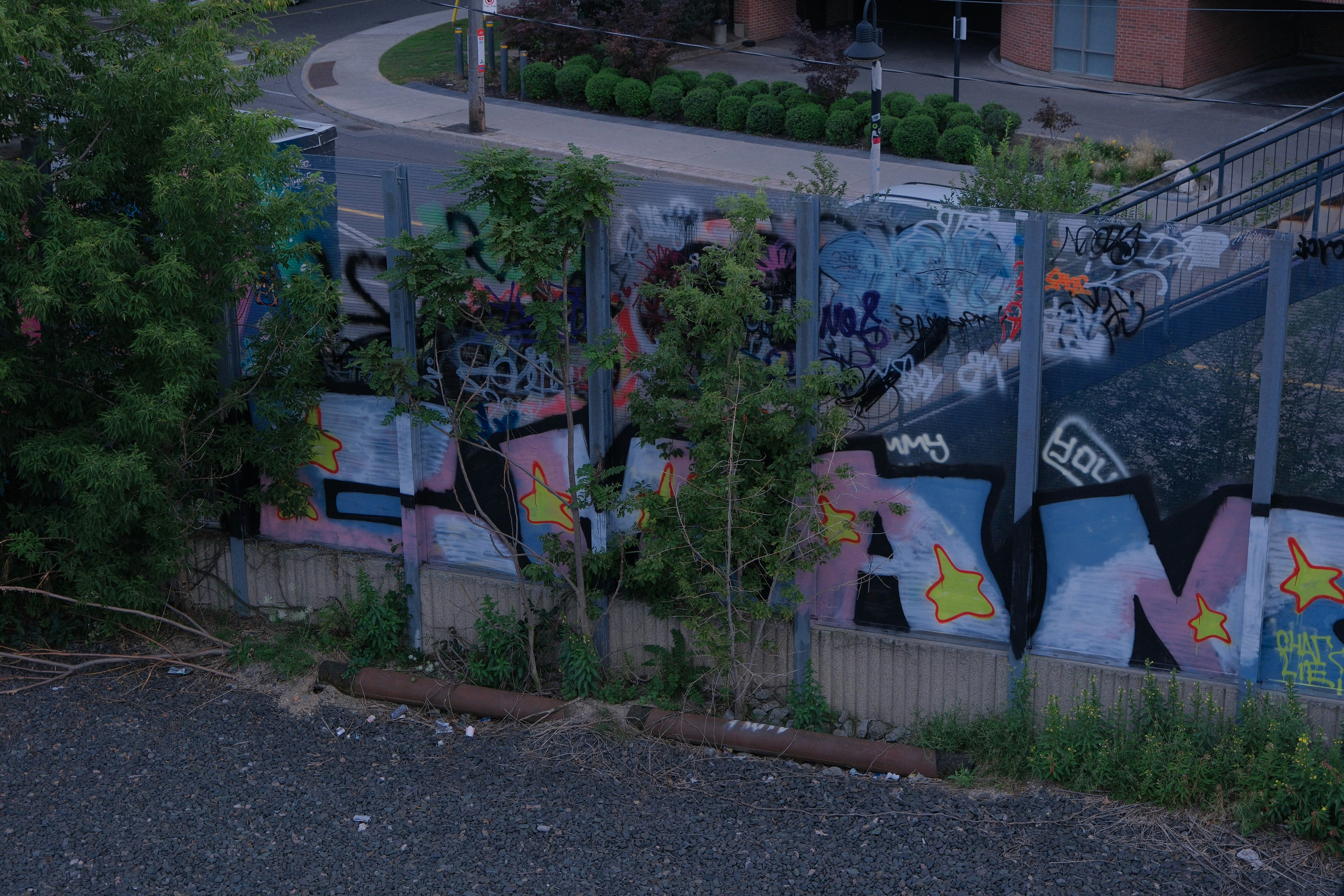 Graffiti Wall Overpass: Colors, Tags, and a Quiet Urban Edge