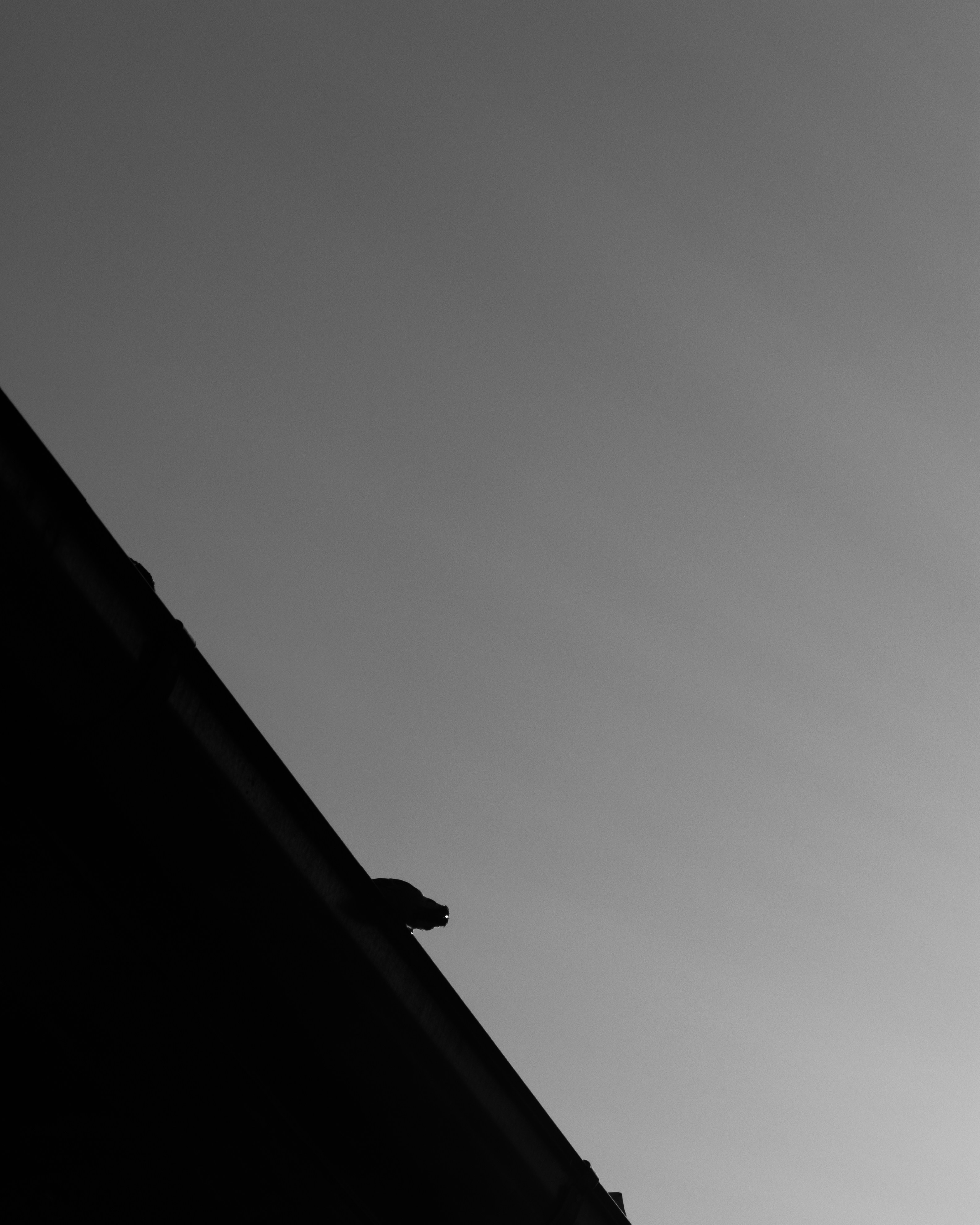 Edge of Silence: A Roofline Against the Sky