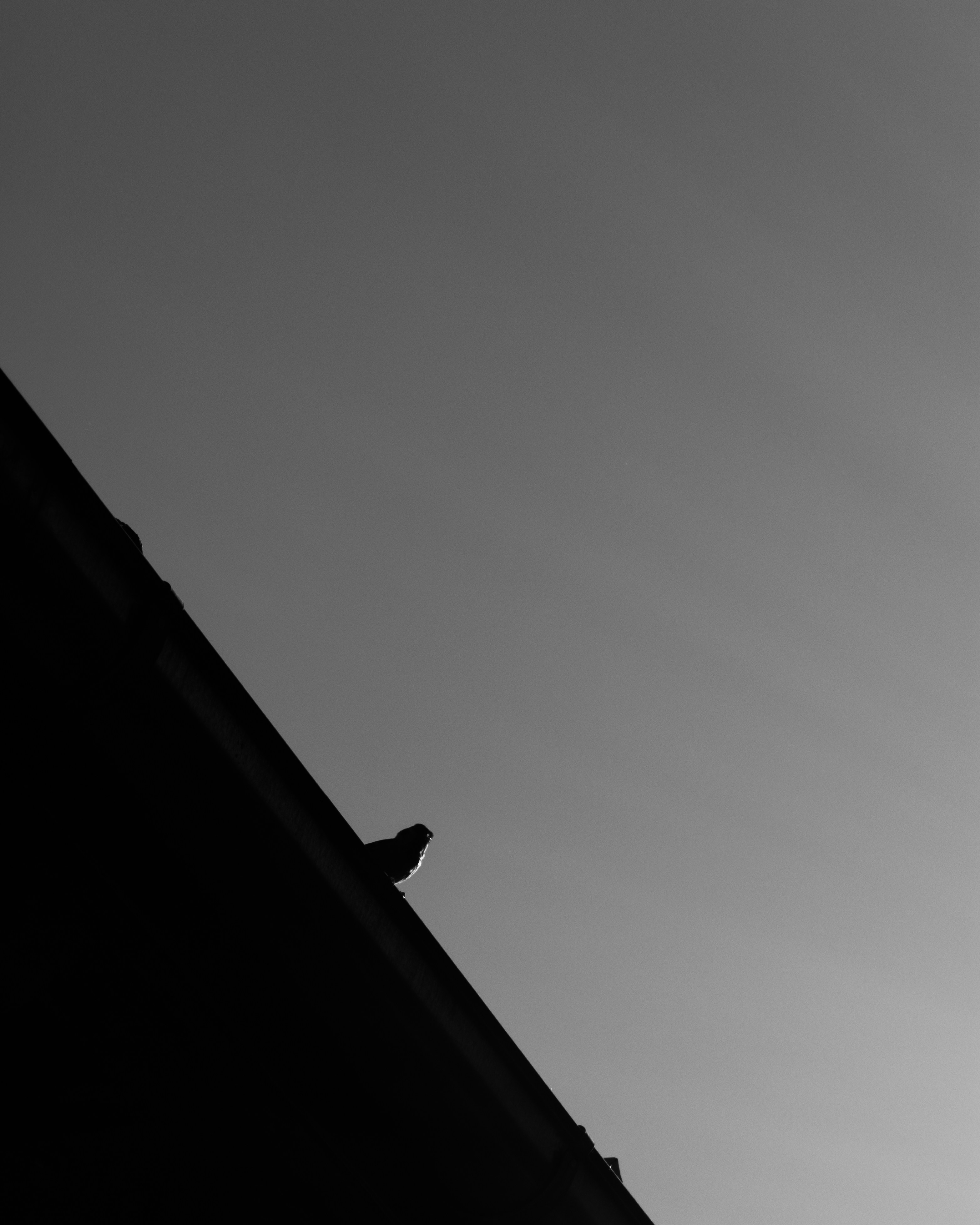 Silhouette at the Edge: A Rooftop Quiet Under an Expansive Sky
