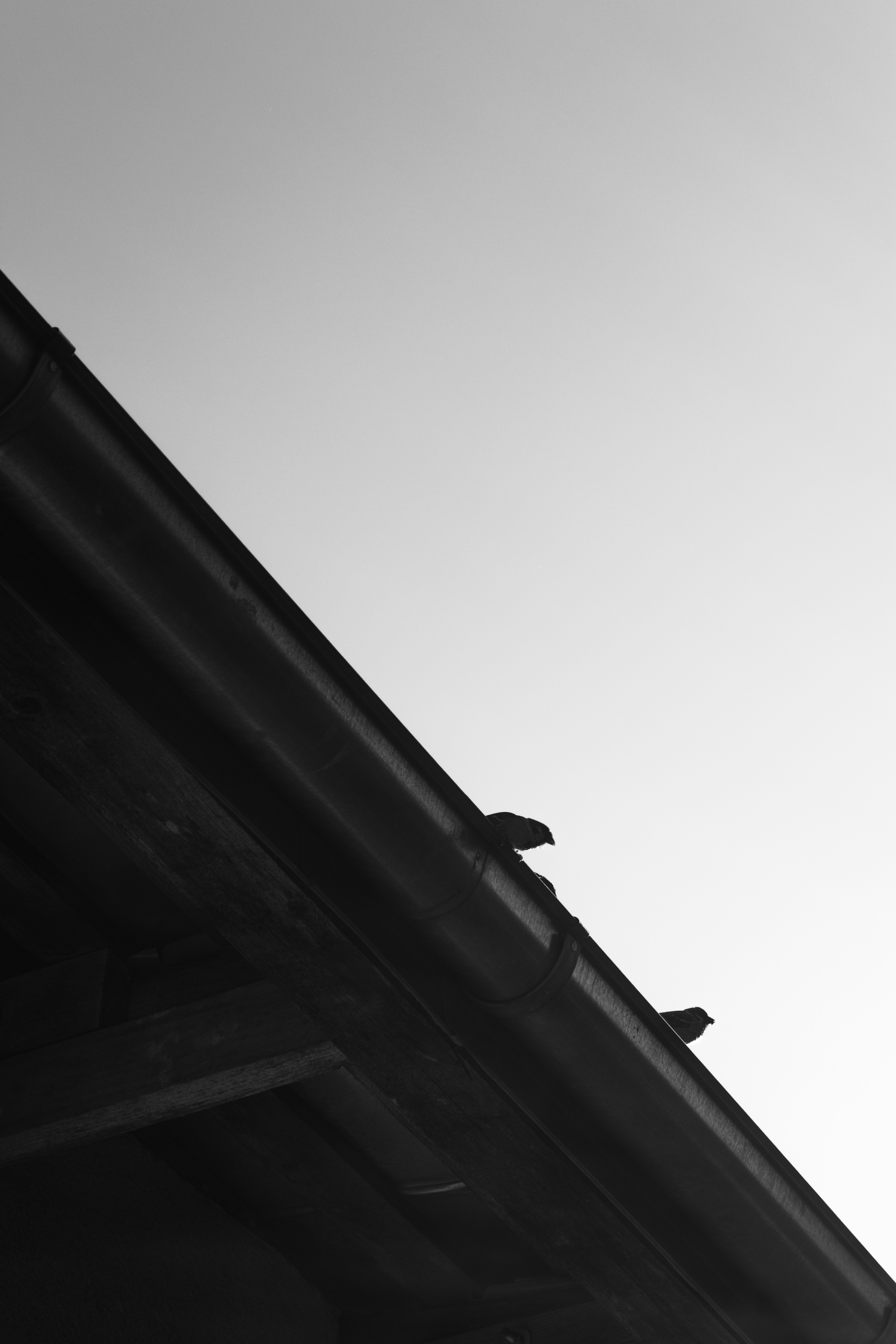 Rooftop Ridge against Empty Sky
